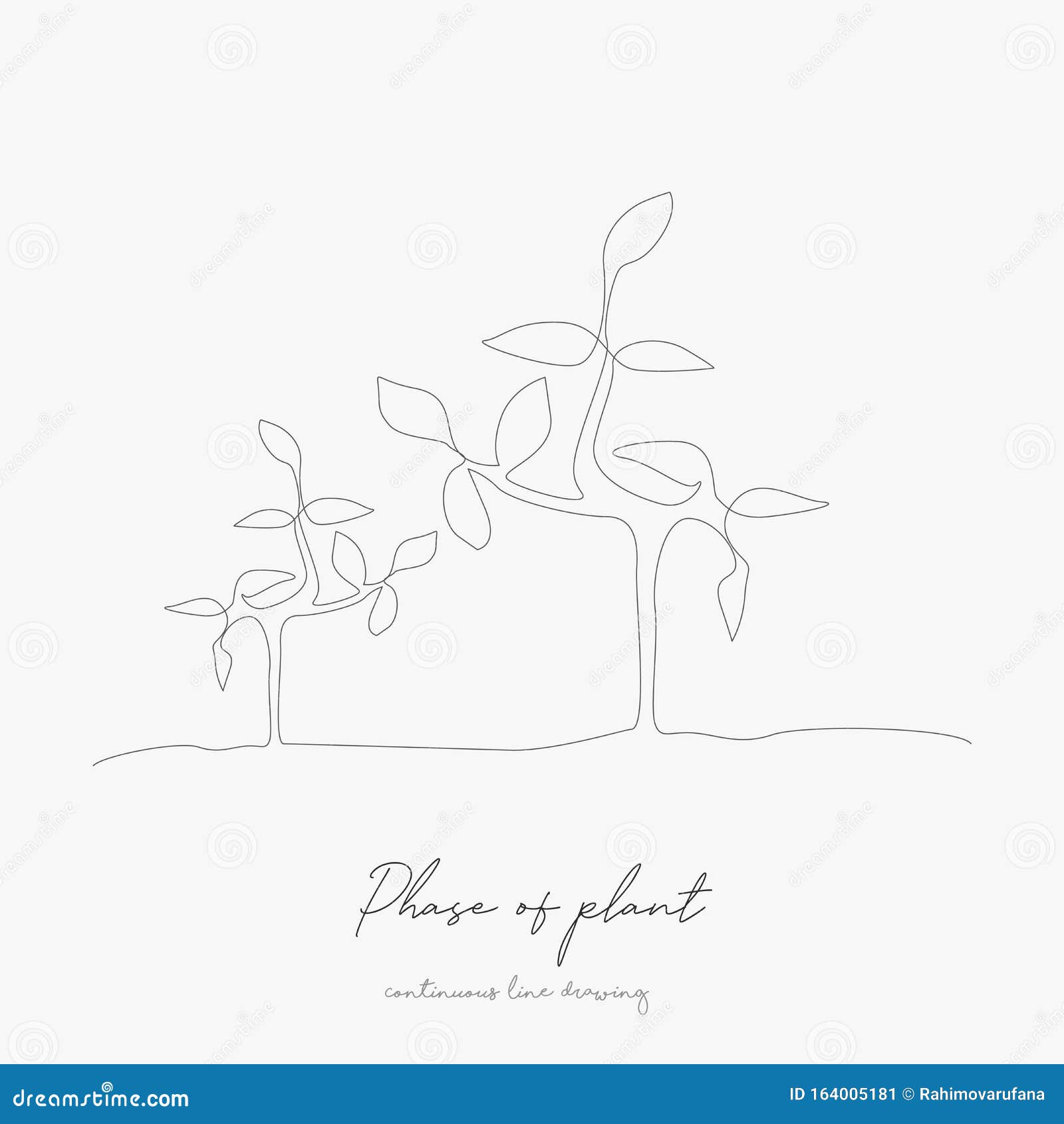 Continuous Line Drawing. Phase of Plant. Simple Vector Illustration ...