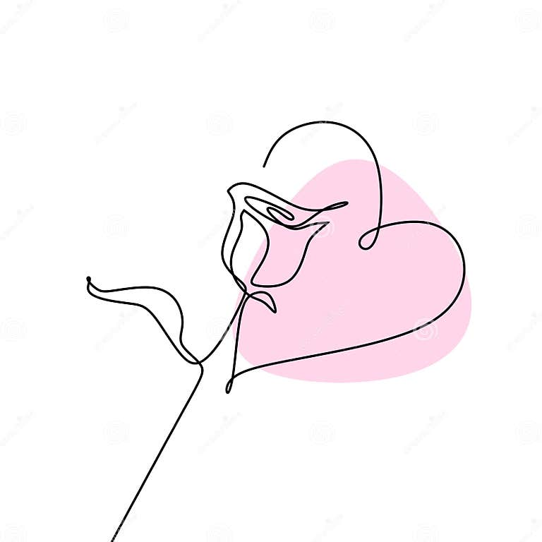Continuous Line Drawing of a Rose Stock Vector - Illustration of style ...