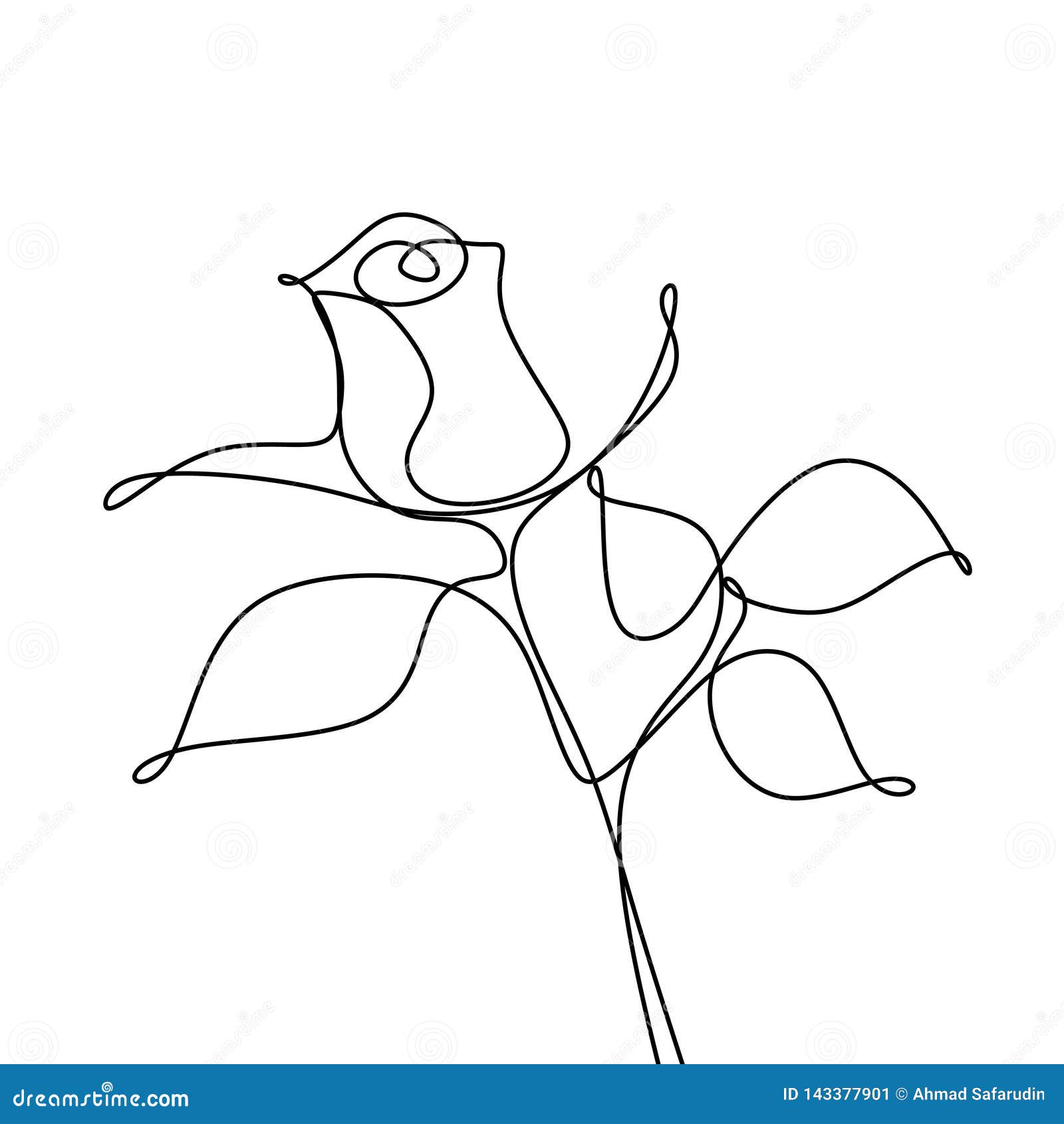Continuous Line Drawing of Rose Flower Stock Vector - Illustration of ...