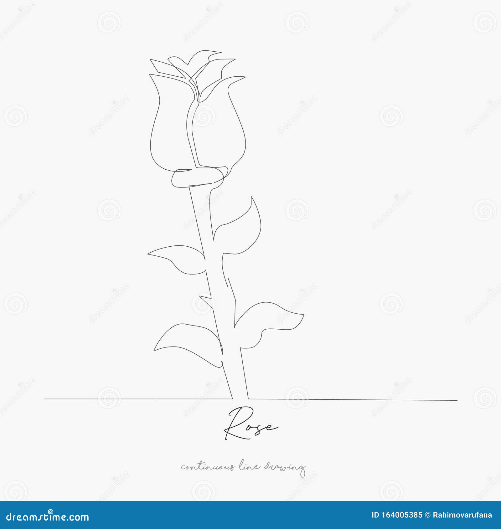Continuous Line Drawing. Rose. Simple Vector Illustration. Rose Concept ...