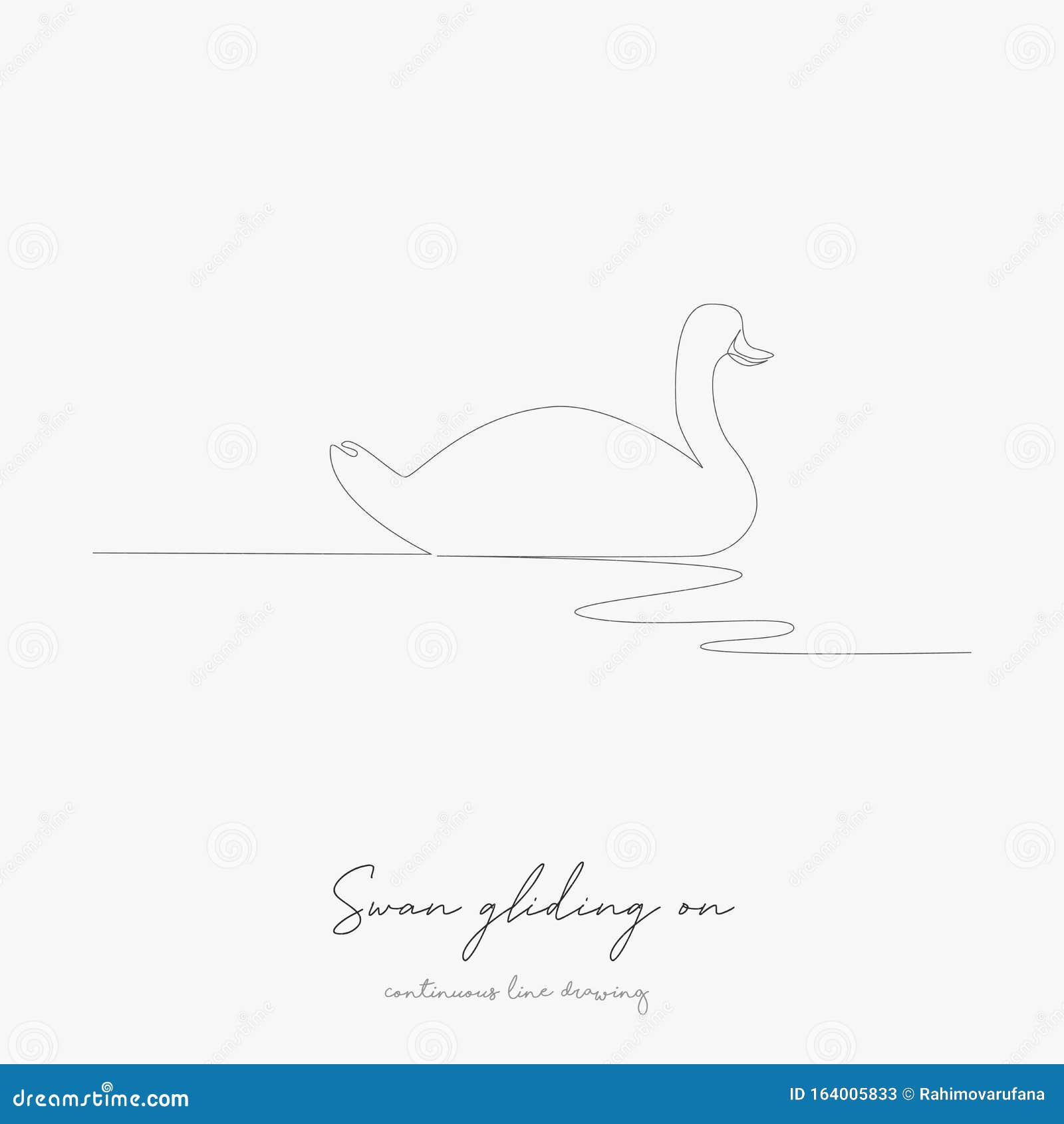 Continuous Line Drawing. Swan Gliding on Water. Simple Vector ...