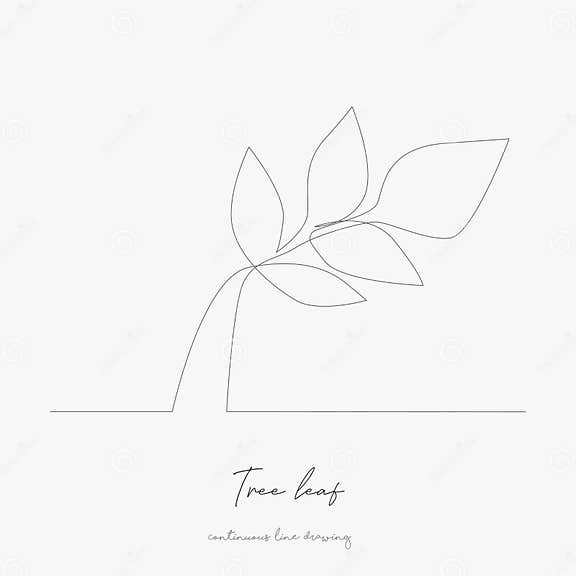 Continuous Line Drawing. Tree Leaf. Simple Vector Illustration. Tree ...