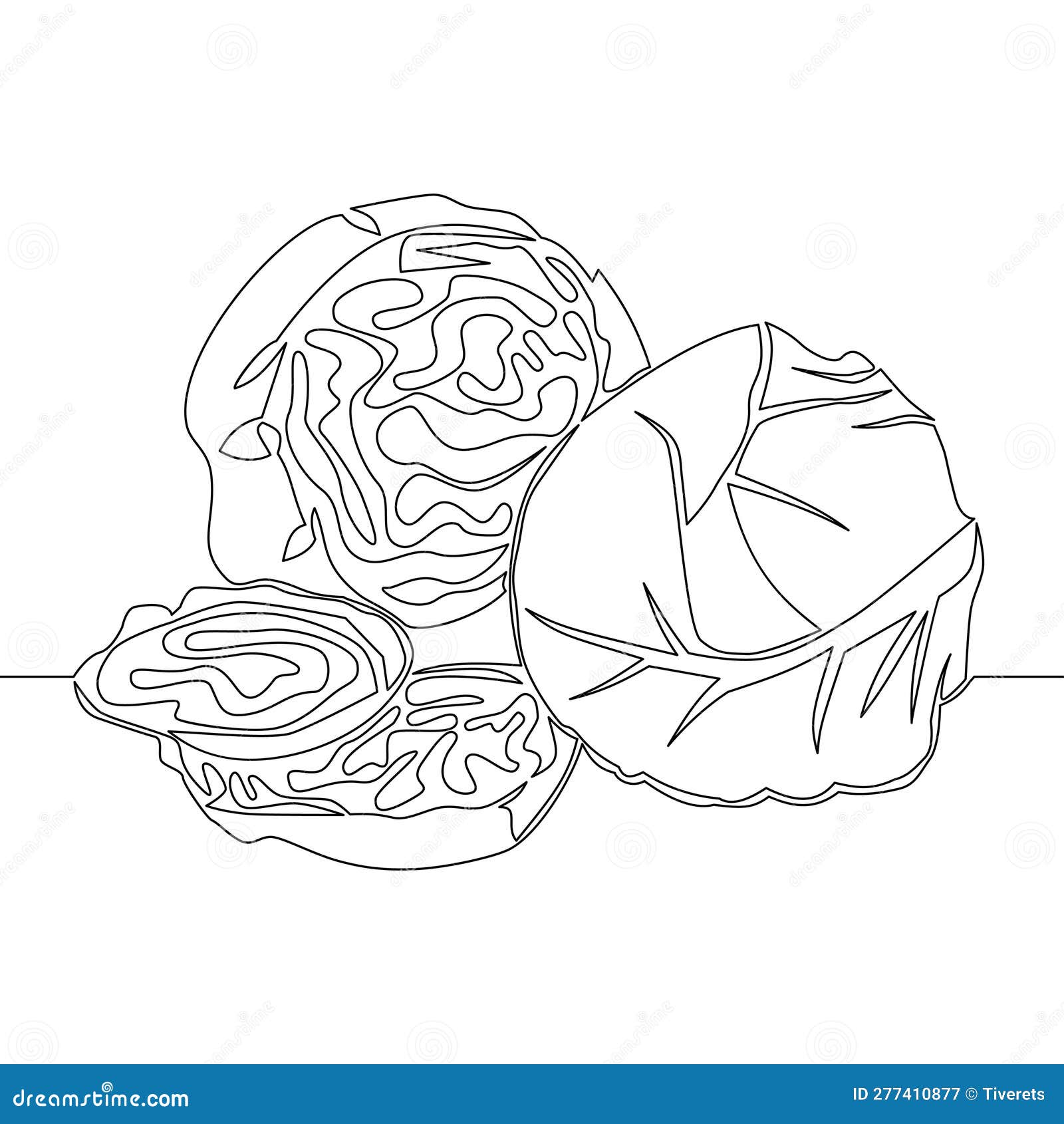 Continuous Line Drawing Vegetables Two Cabbage Icon Vector Illustration ...
