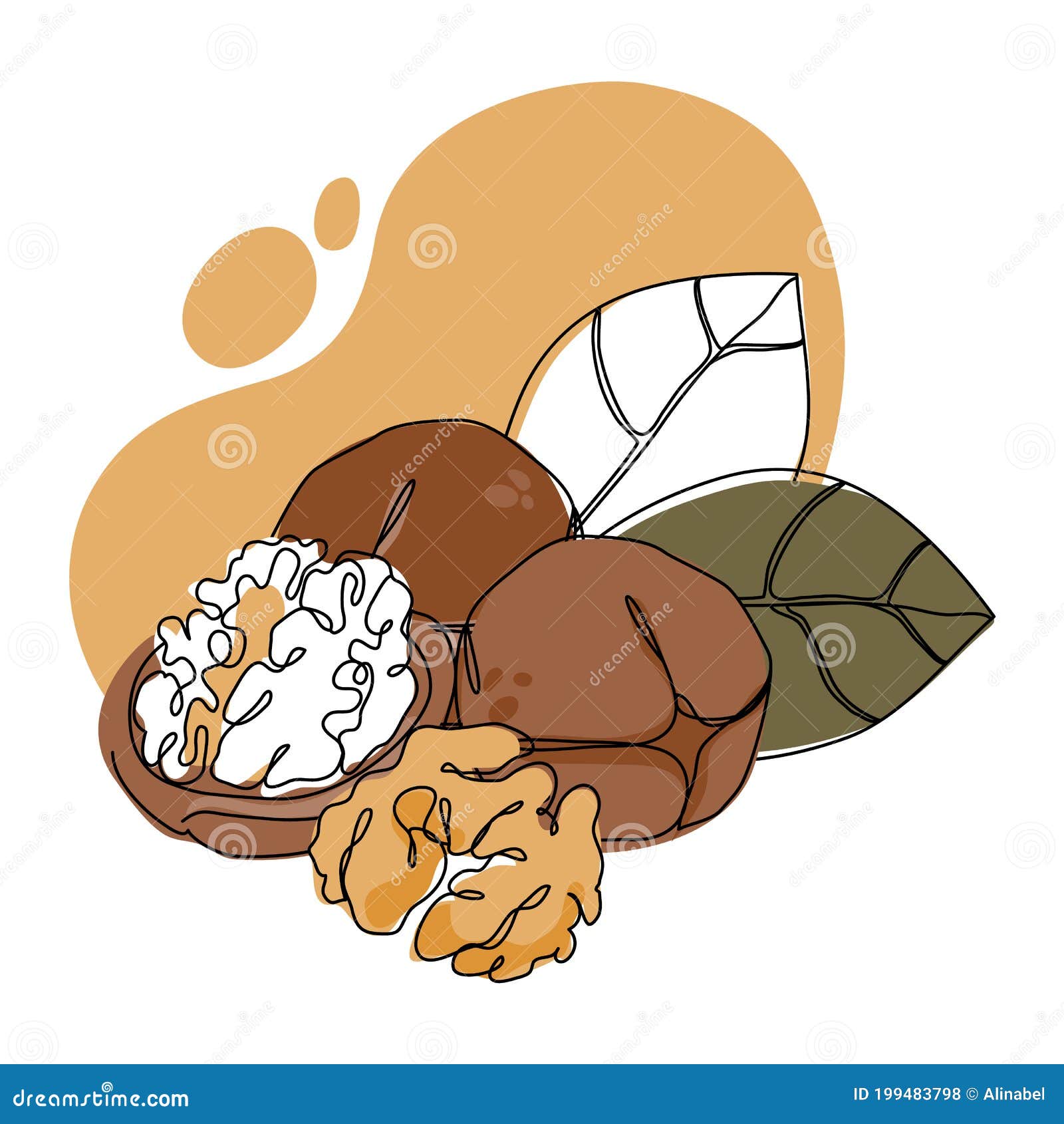 Walnut Line Art Stock Illustrations – 667 Walnut Line Art Stock ...