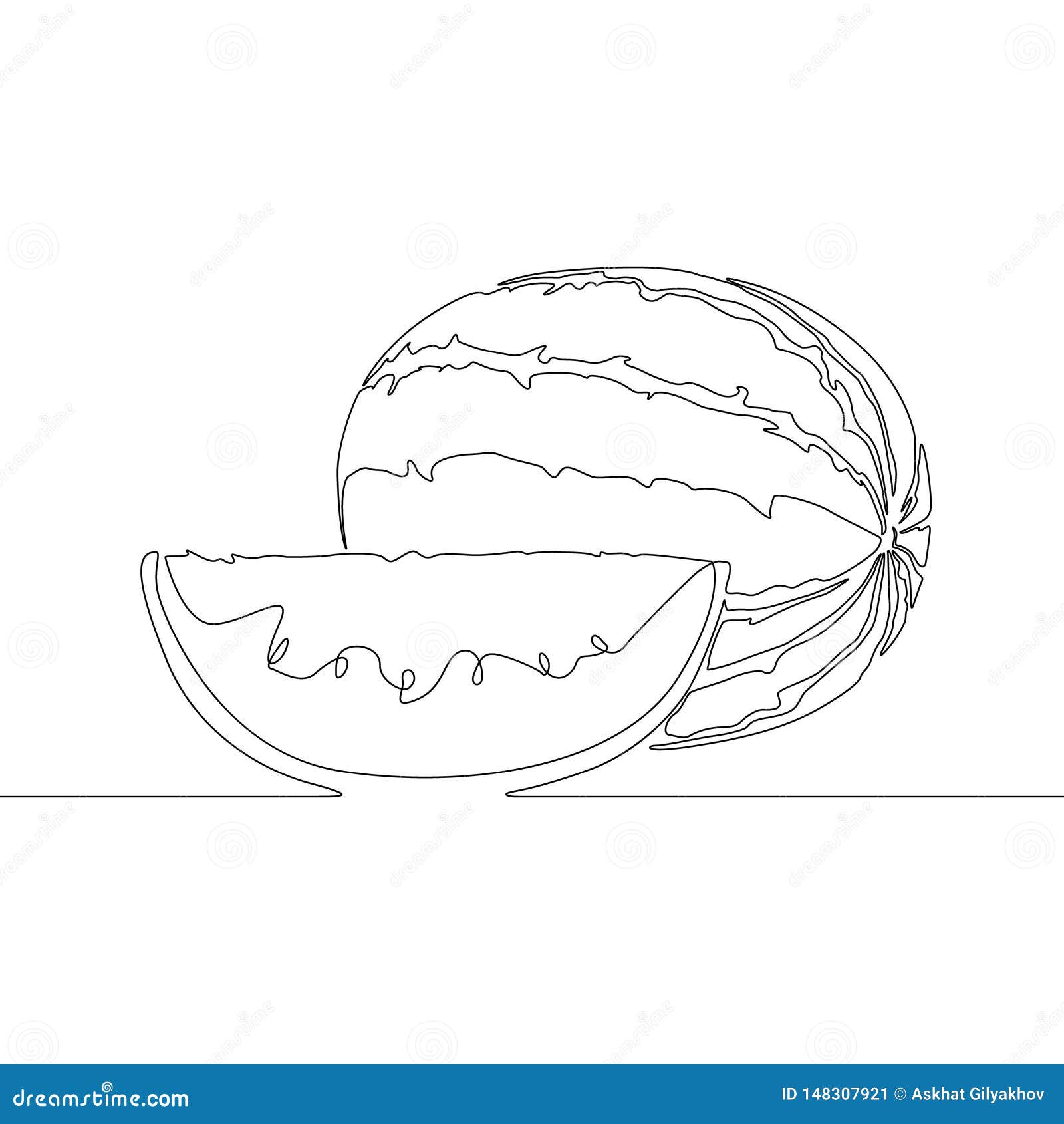 Continuous Line Drawing Watermelon or Melon. Vector Illustration. Stock ...