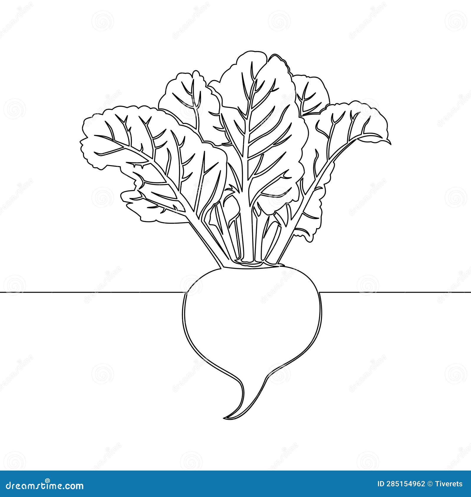 Continuous Line Drawing Whole Healthy Organic Beetroot Vegetable Icon