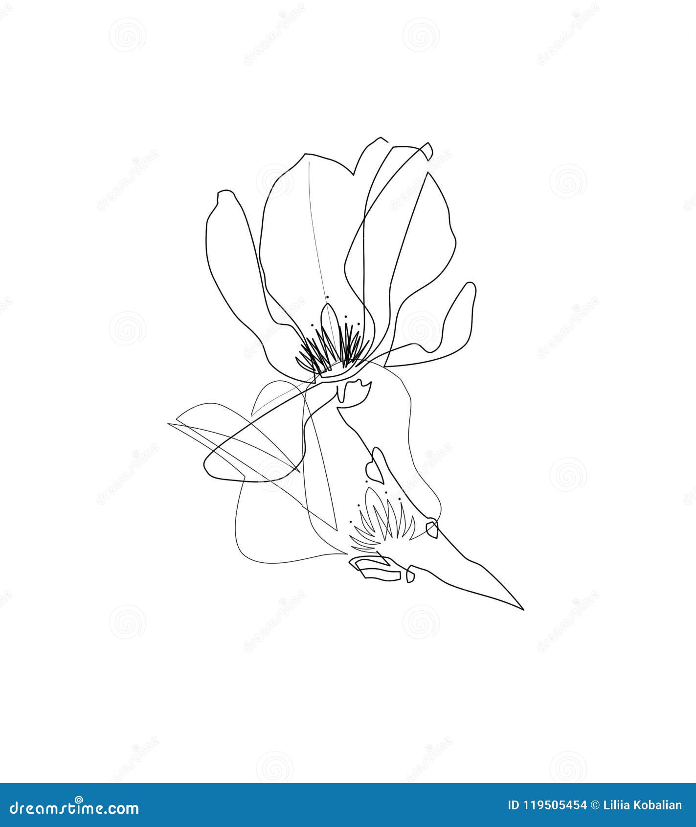 Continuous line flower stock illustration. Illustration of single ...