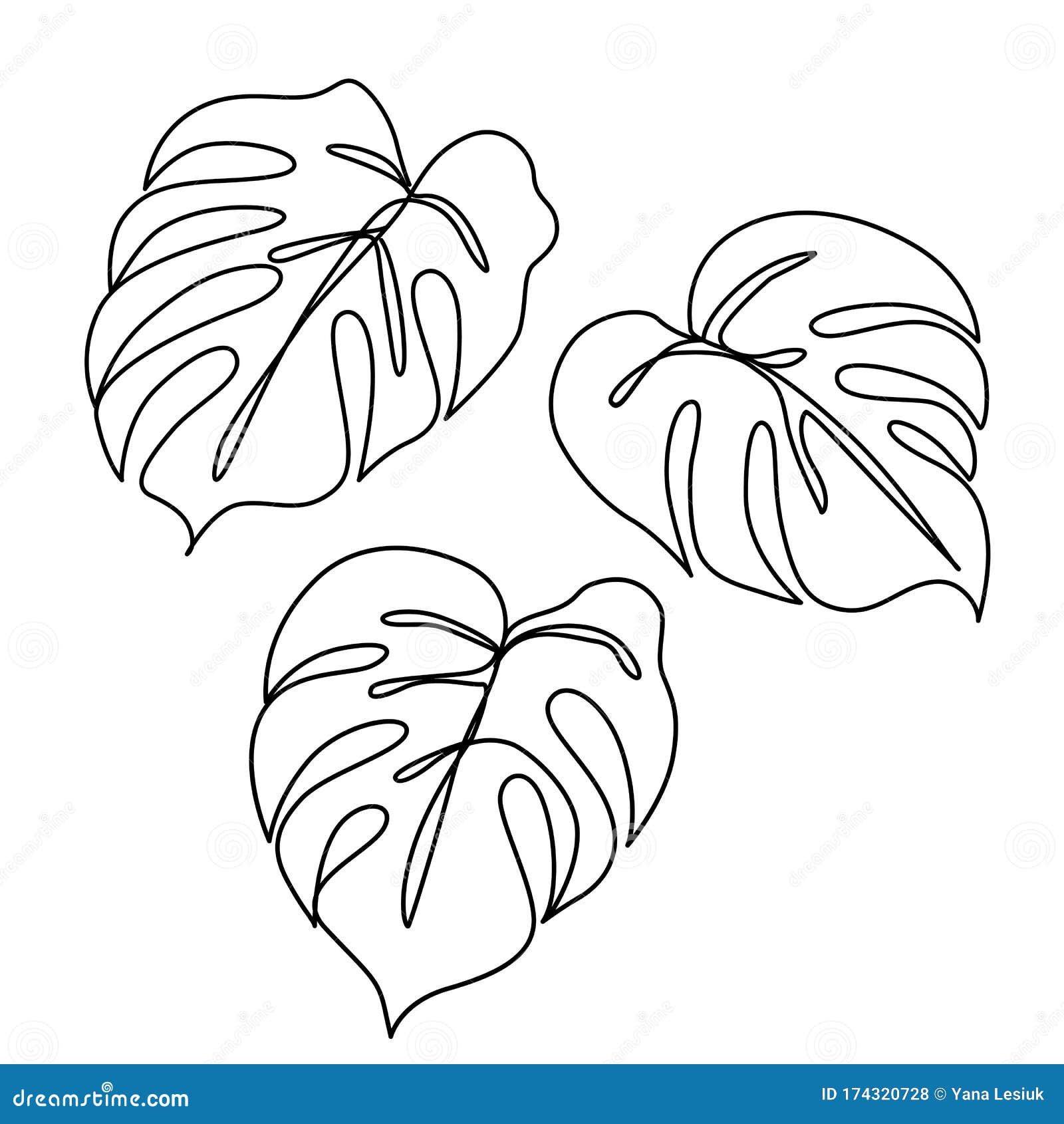 Continuous Line Monstera Leaf. Tropical Leaves Contour Drawing Stock ... Continuous Line Monstera Leaf. Tropical Leaves Contour Drawing Stock ...