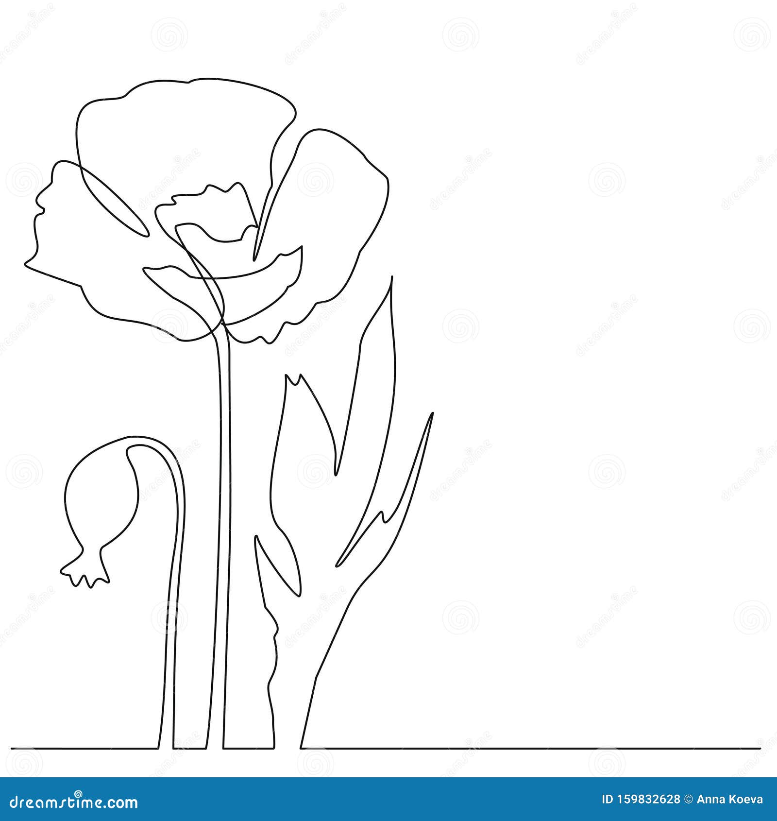 Continuous Line Poppy Flower. One Line Stock Vector - Illustration of ...