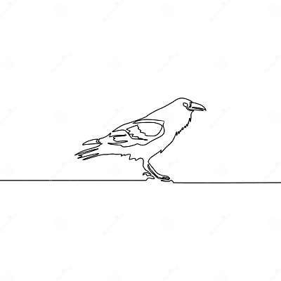 Continuous Line Raven Isolated on White Background. Vector Illustration ...