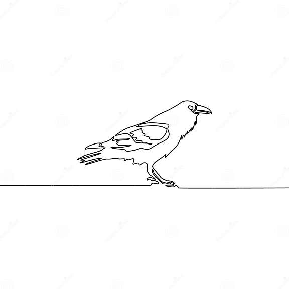 Continuous Line Raven Isolated on White Background. Vector Illustration ...