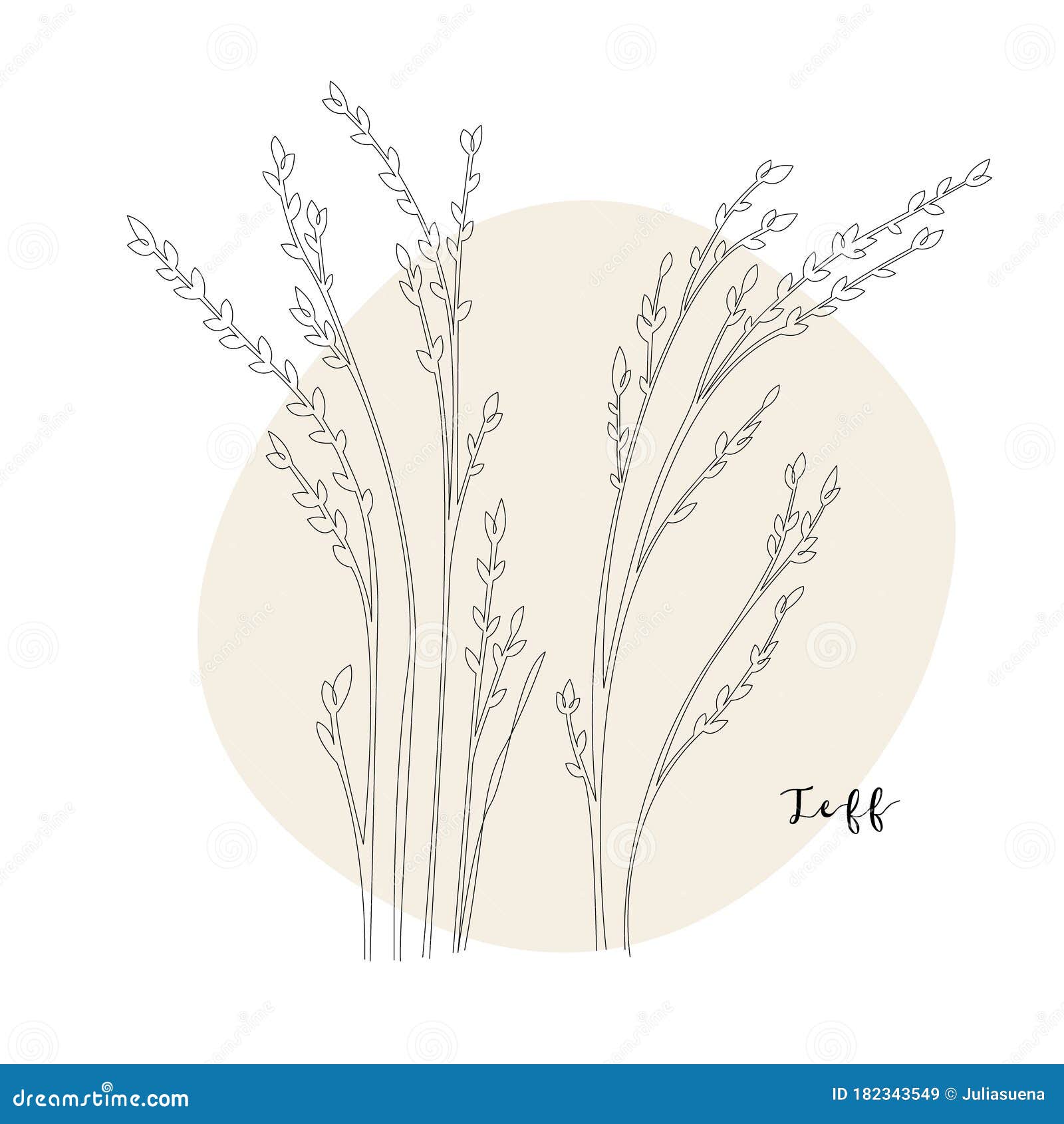 Continuous Line Teff, Grain Crop. Vector Line Art. Perfect for Logo ...