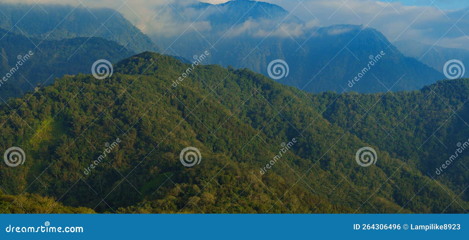 The Continuous Mountains and Basin Covered with Forest and Stock Photo ...