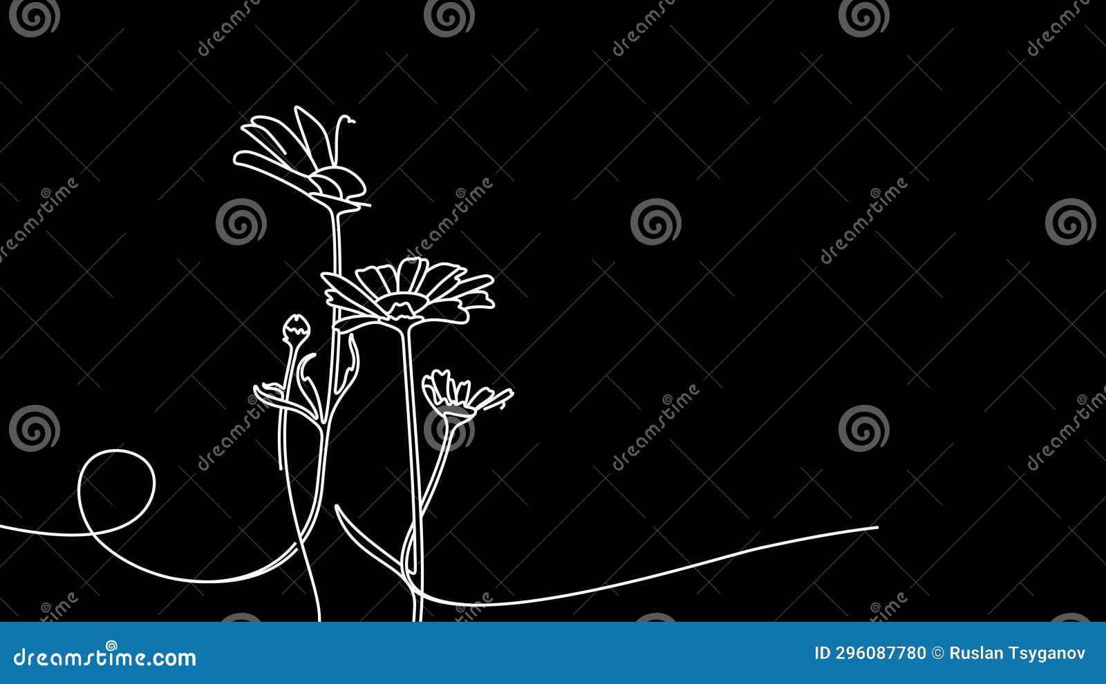 Continuous One Line Drawing Of Beautiful Wild Flowers Chamomile Motion