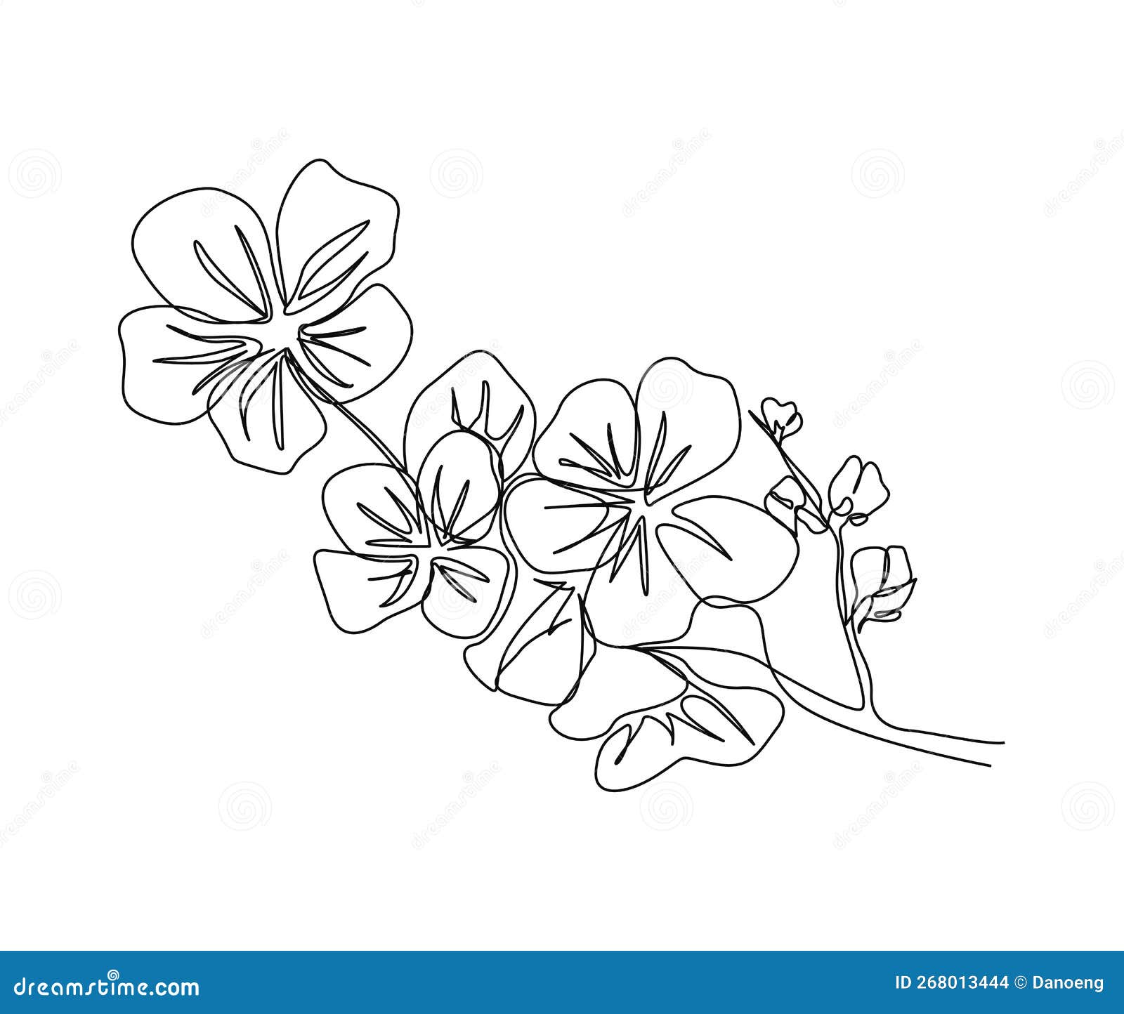 Single Cherry Blossom Flower Drawing