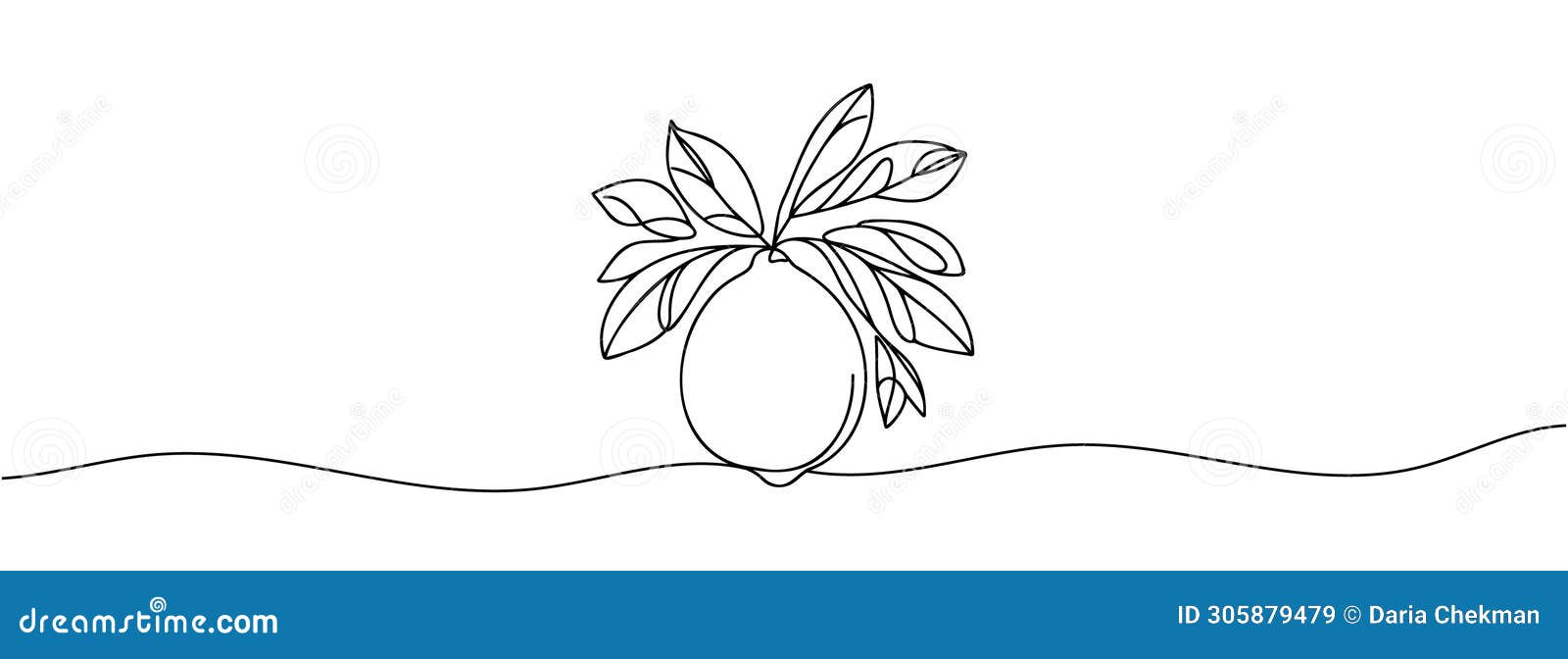 Continuous One Line Drawing. Lemon Lime Fruits. Stock Illustration ...