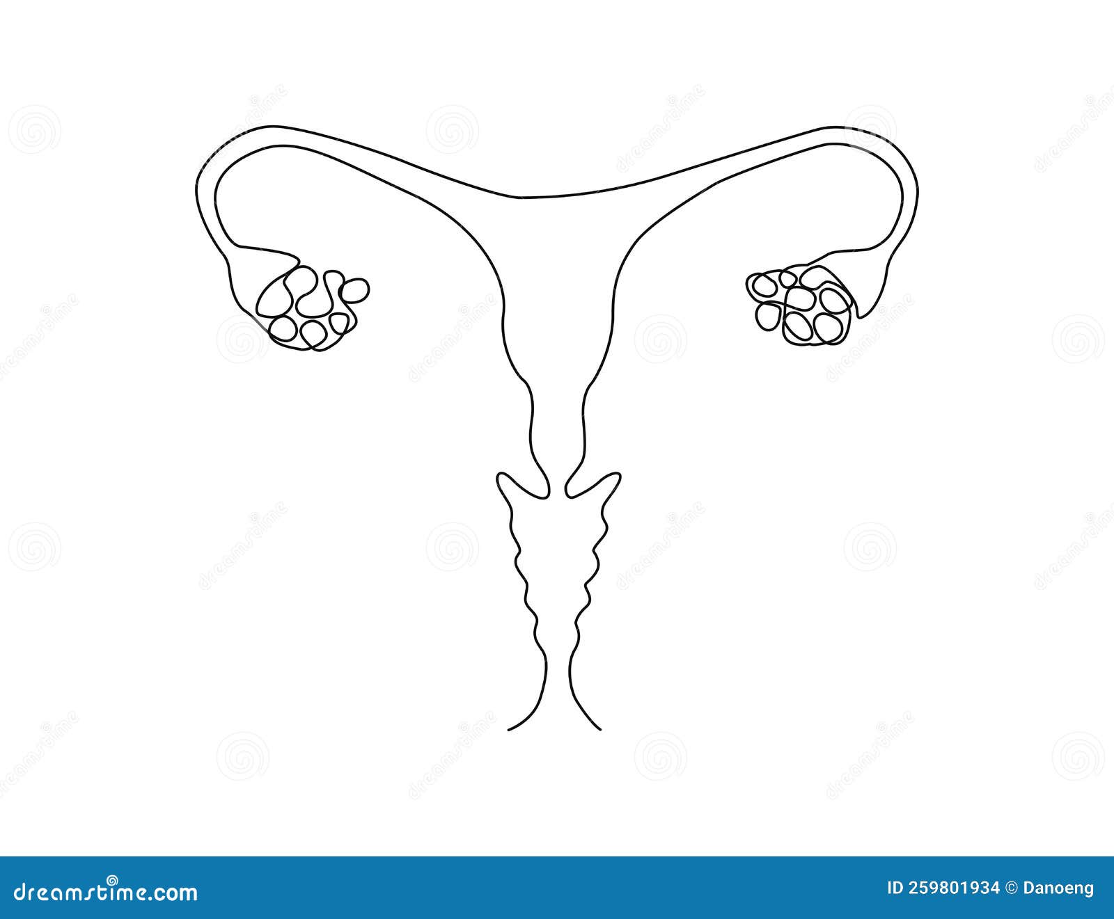 Continuous One Line Drawing of Ovarium Organ. Human Ovarium Line Art ...