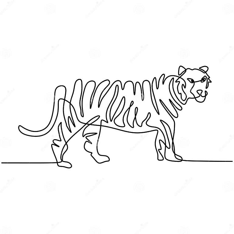 Continuous One Line Drawing of Tiger Walking Isolated on White ... Continuous One Line Drawing of Tiger Walking Isolated on White ...