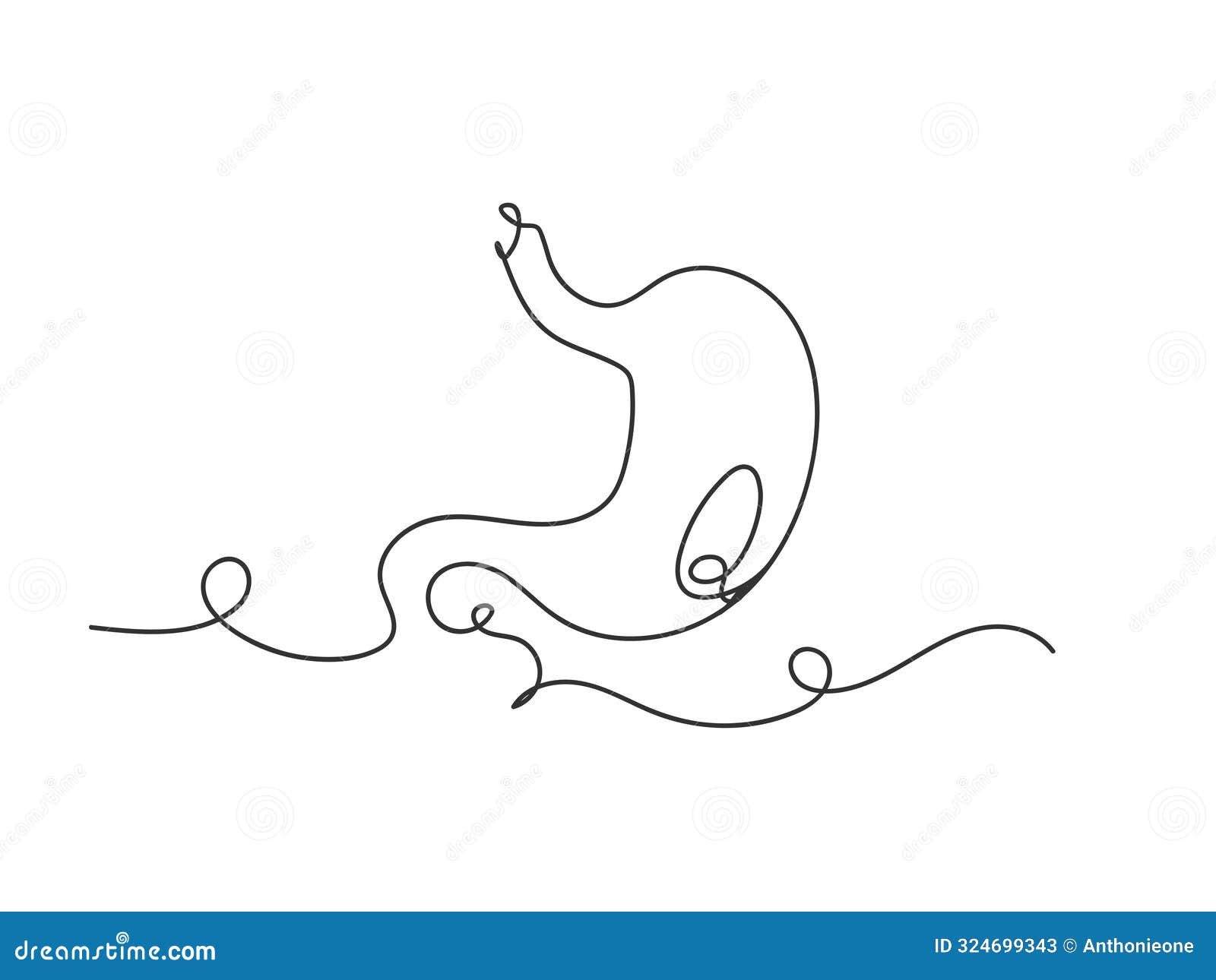Continuous One Line Stomach Isolated Vector Illustration Stock ...
