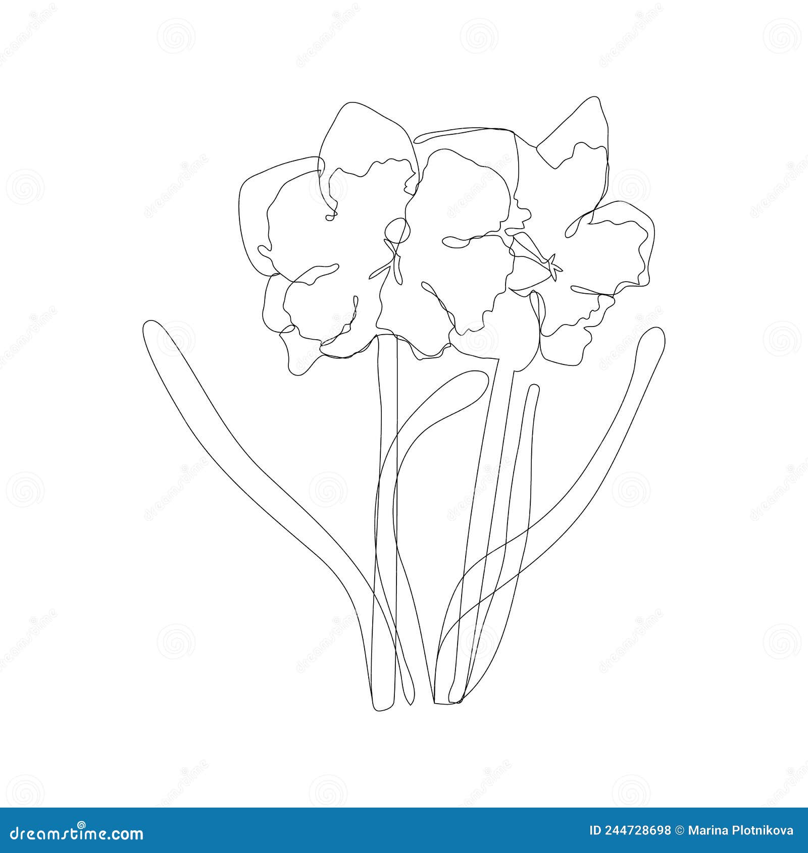 Continuous One Simple Single Abstract Line Drawing of Daffodil Flower ...