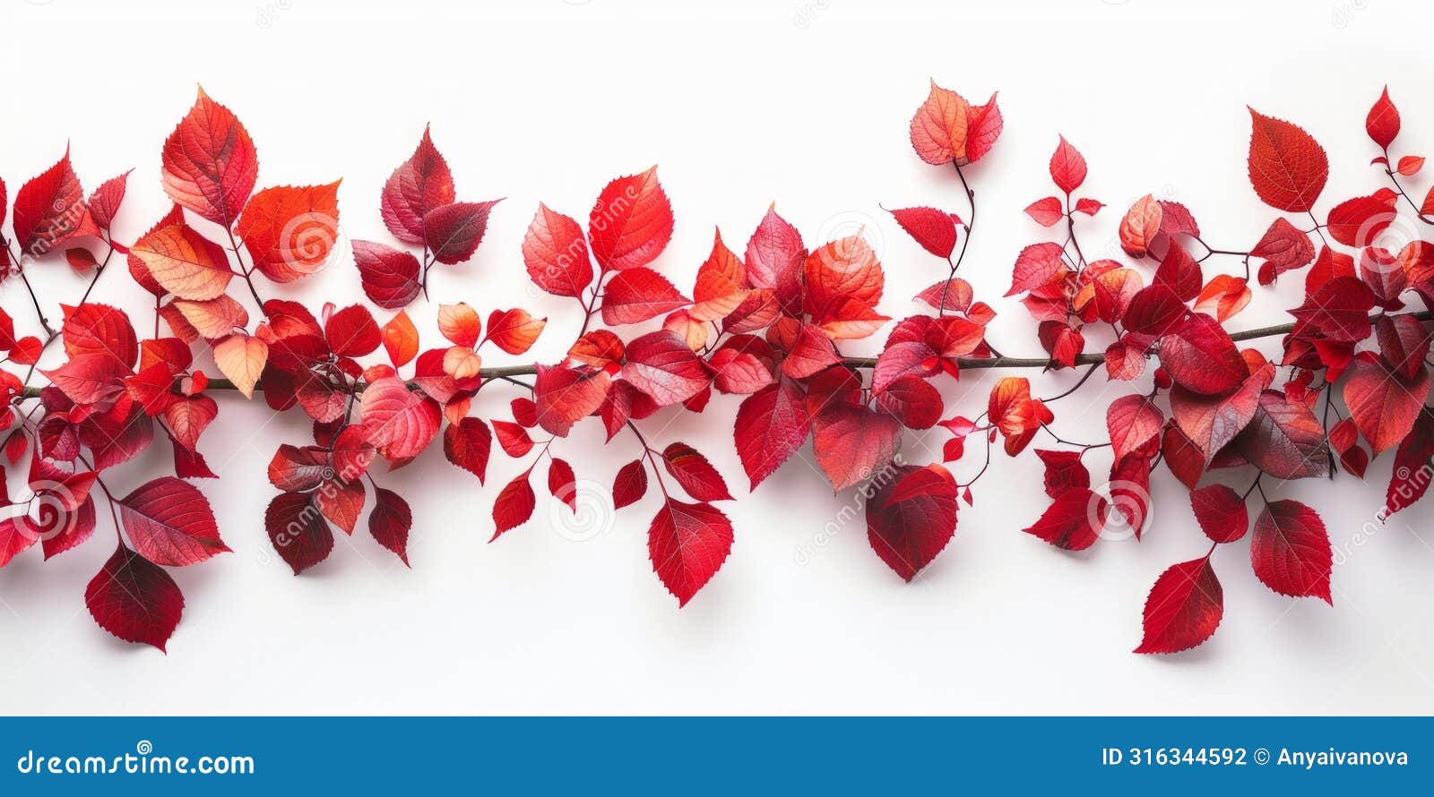 Continuous Red Leaf Branch Pattern Stock Photo - Image of continuous ...
