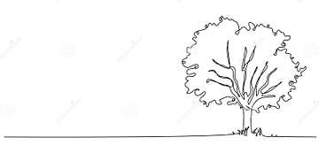 Continuous Single Line Drawing of Broadleaf Tree Stock Illustration ...