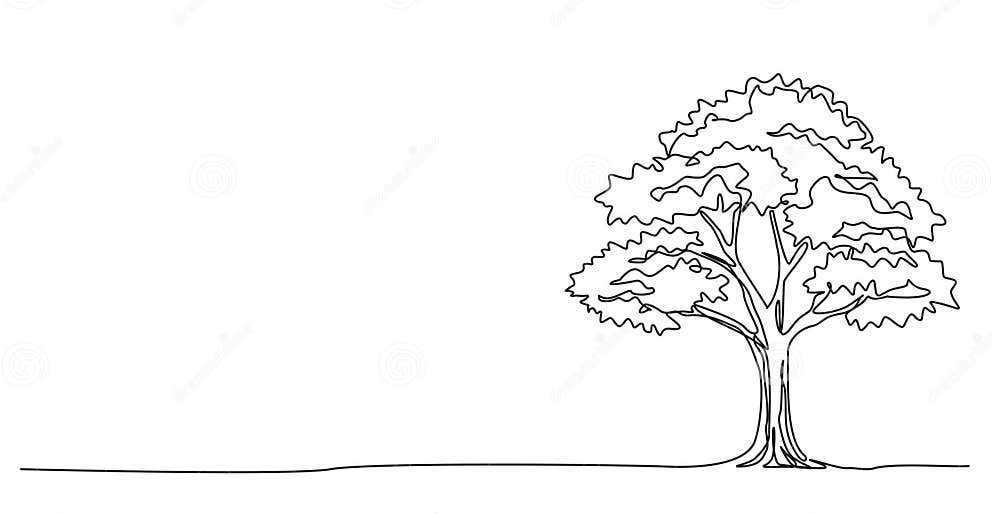 Single Line Drawing of a Deciduous Tree Stock Illustration ...