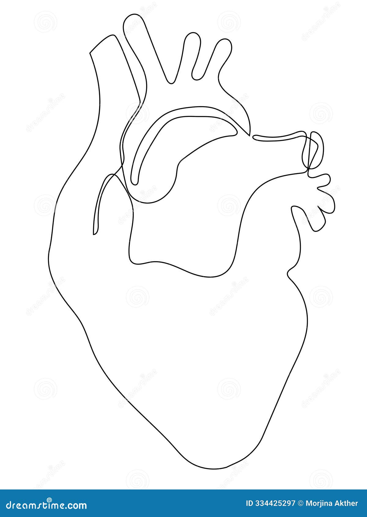 Continuous Single-line Drawing of Human Internal Organ. Stock ...