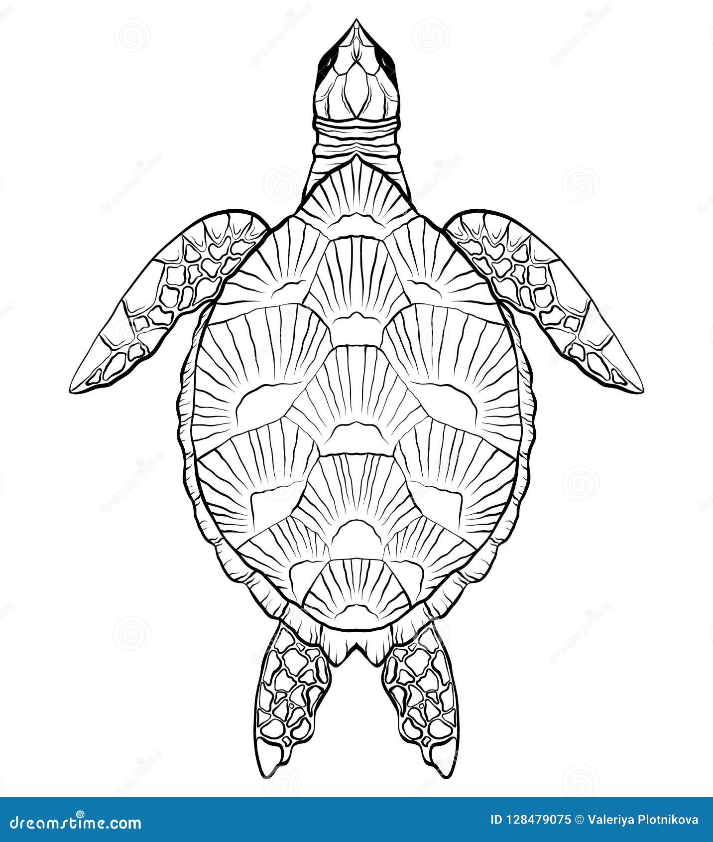 Contour Of A Sea Turtle On The Isolated White Background Vector ...