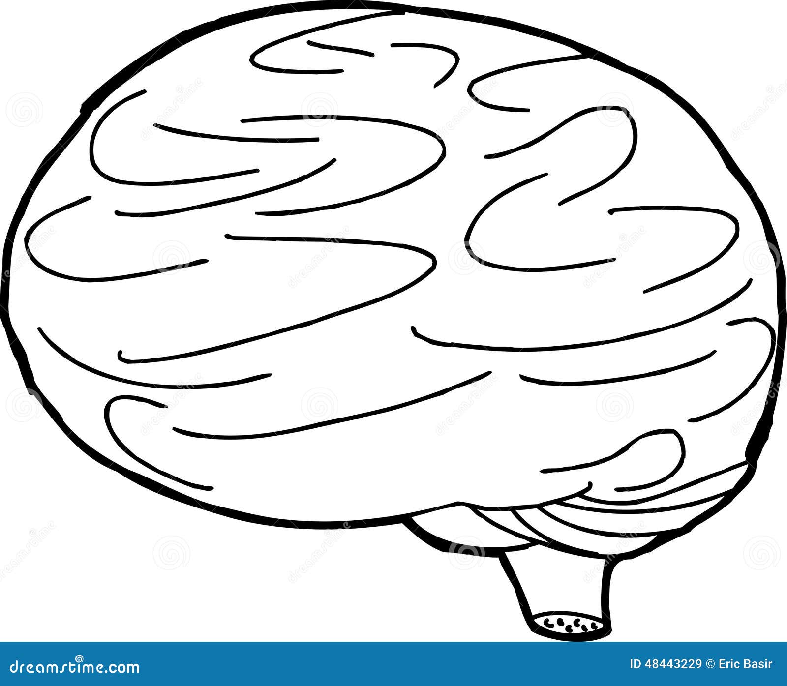 Contour Brain Sketch illustration stock. Illustration du isolement ...