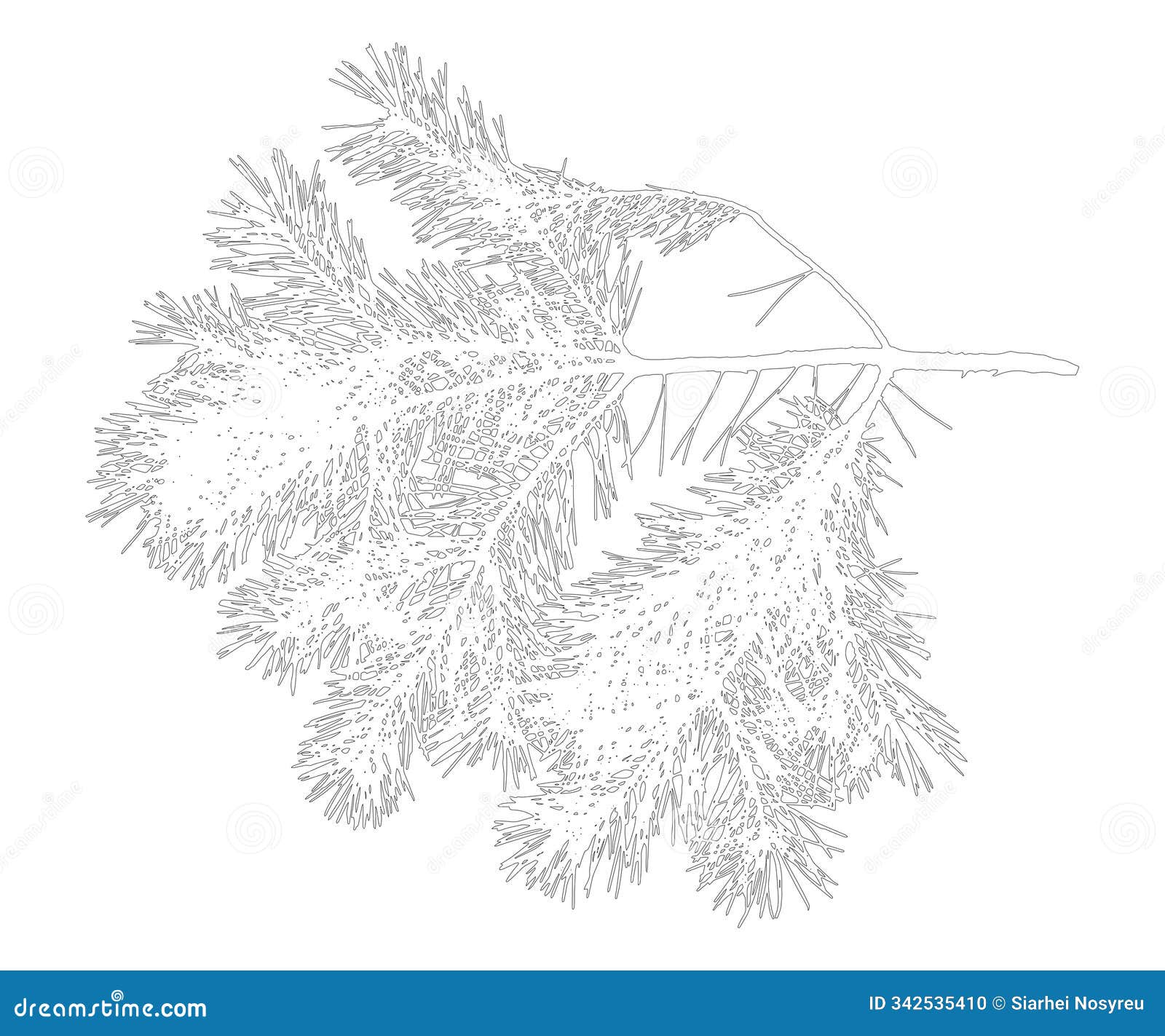Contour of Branch Pine Tree. Vector Illustration Stock Vector ...