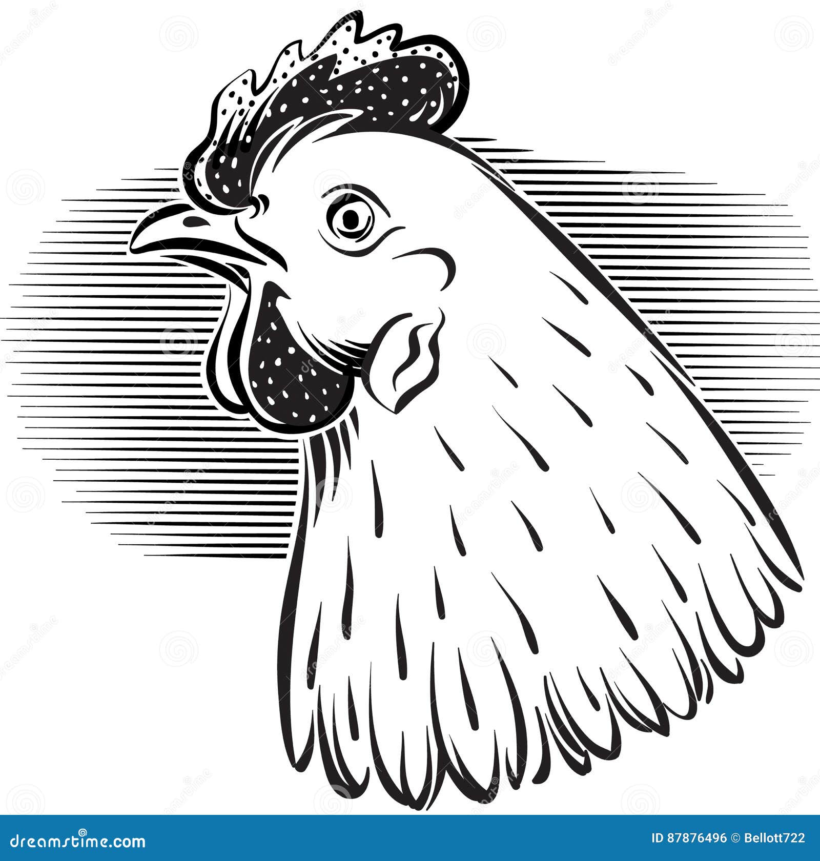 Contour Chicken Head, Closeup Stock Illustration - Illustration of bird ...