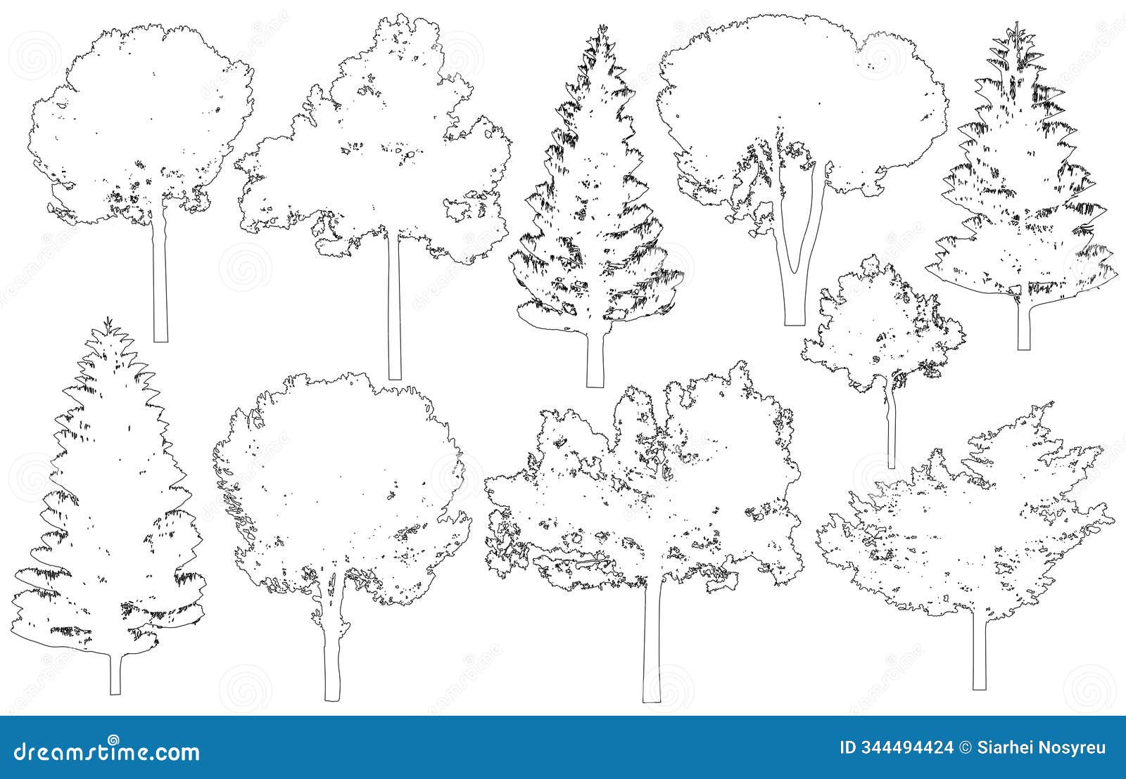Contour of Coniferous Trees, Pine, Cypress. Vector Illustration Stock ...