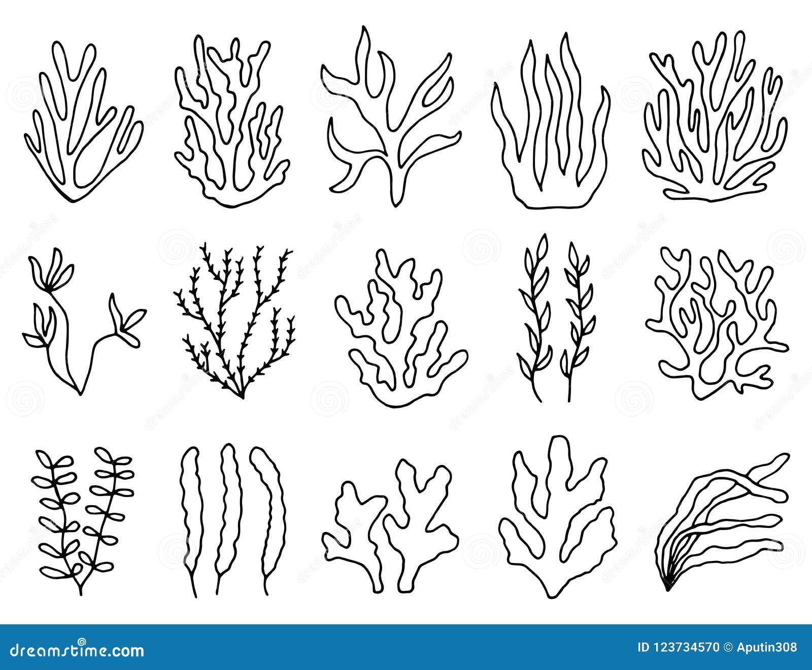 Contour D'algue En Isolation Ensemble Linéaire De Dessin D'objets ...