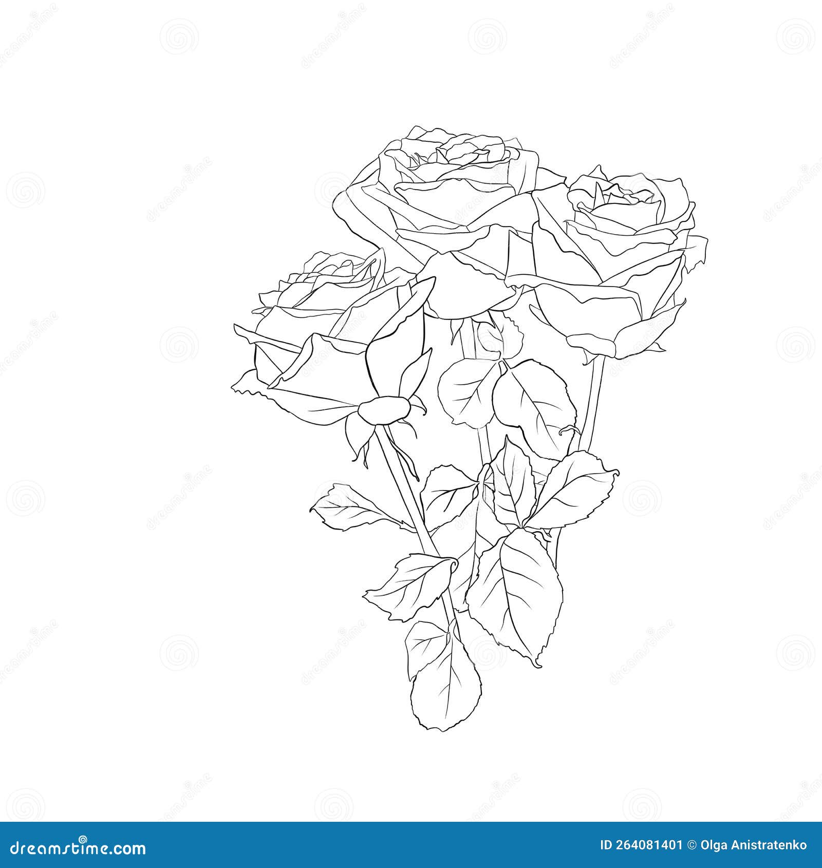 Contour Drawing of a Bouquet of Roses Stock Illustration - Illustration ...