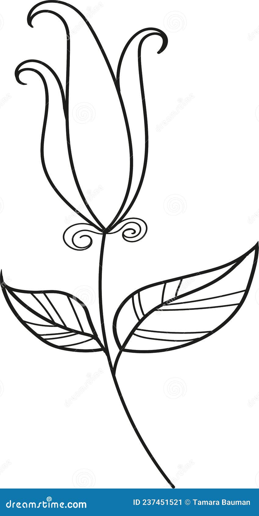 Contour Drawing of a Flower with Leaves. Vector Illustrations are Easy ...
