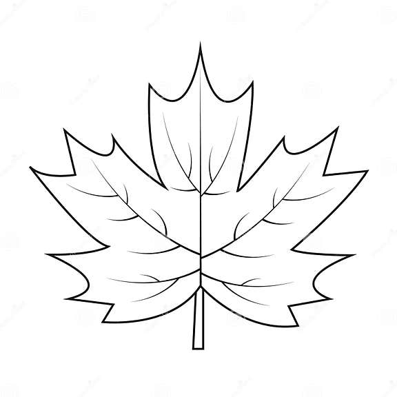Contour Drawing of a Maple Leaf. Autumn Leaf Stock Illustration ...