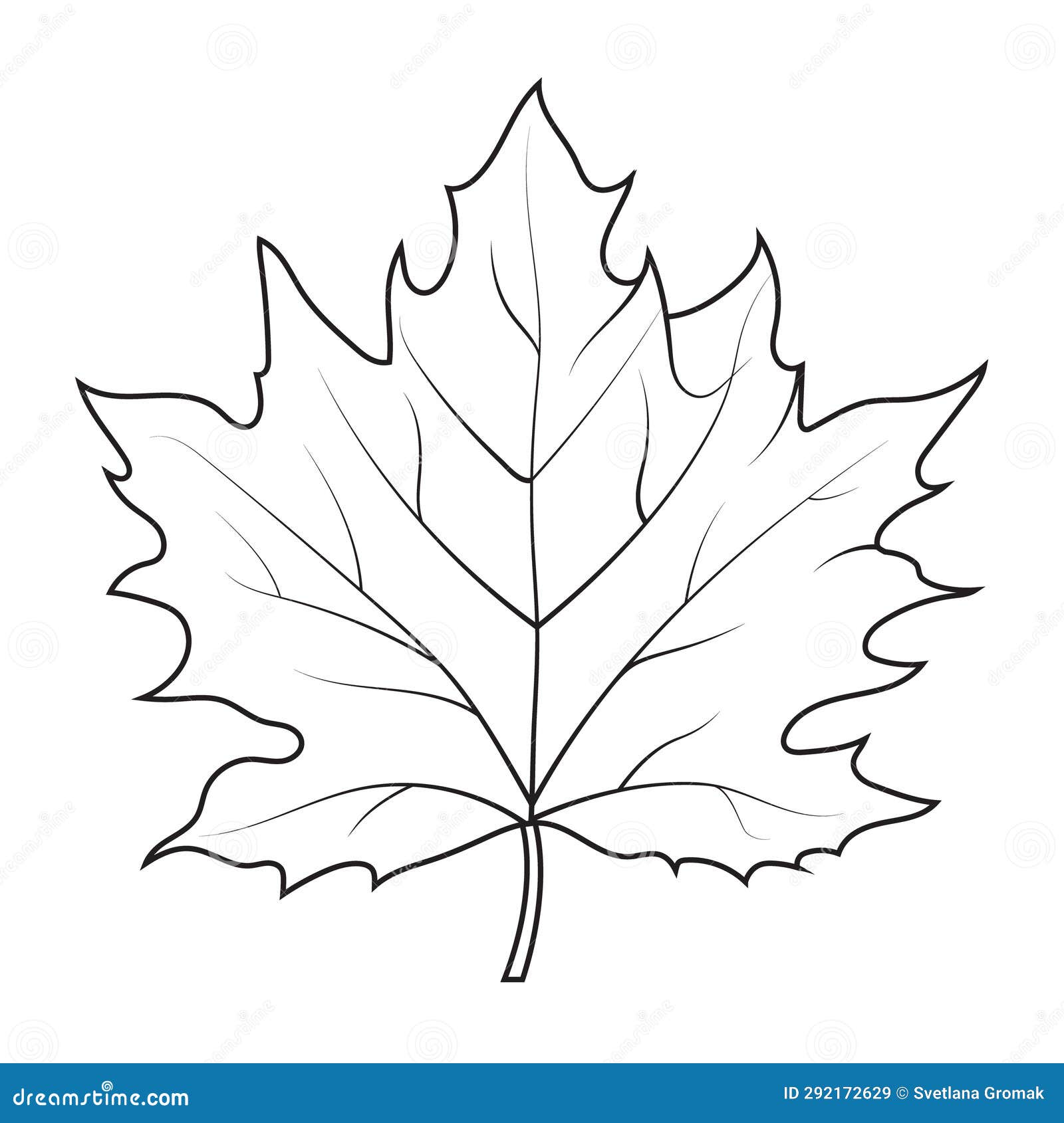 Contour Drawing of a Maple Leaf. Autumn Leaf Stock Vector ...