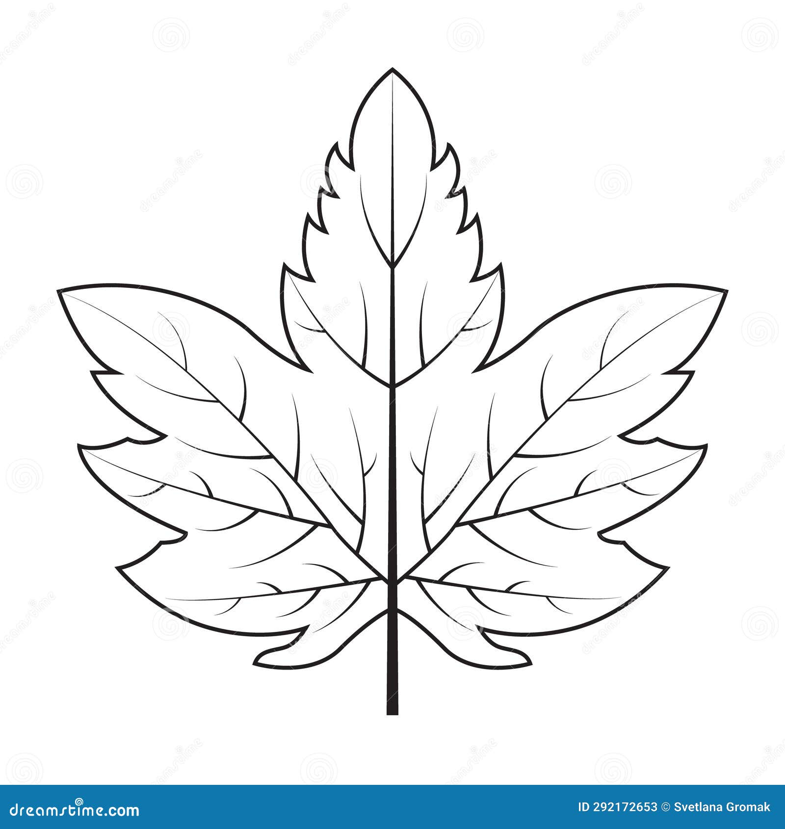 Contour Drawing of a Maple Leaf. Autumn Leaf Stock Vector ...