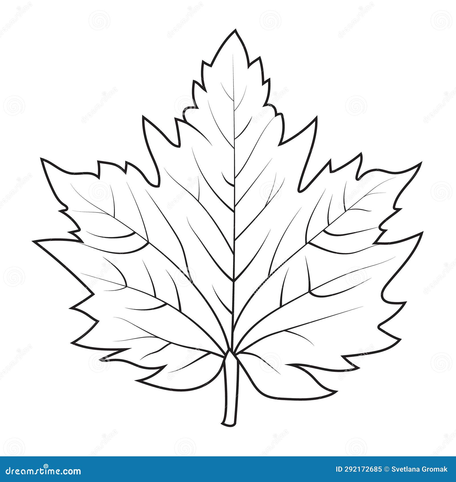 Contour Drawing of a Maple Leaf. Autumn Leaf Stock Illustration ...