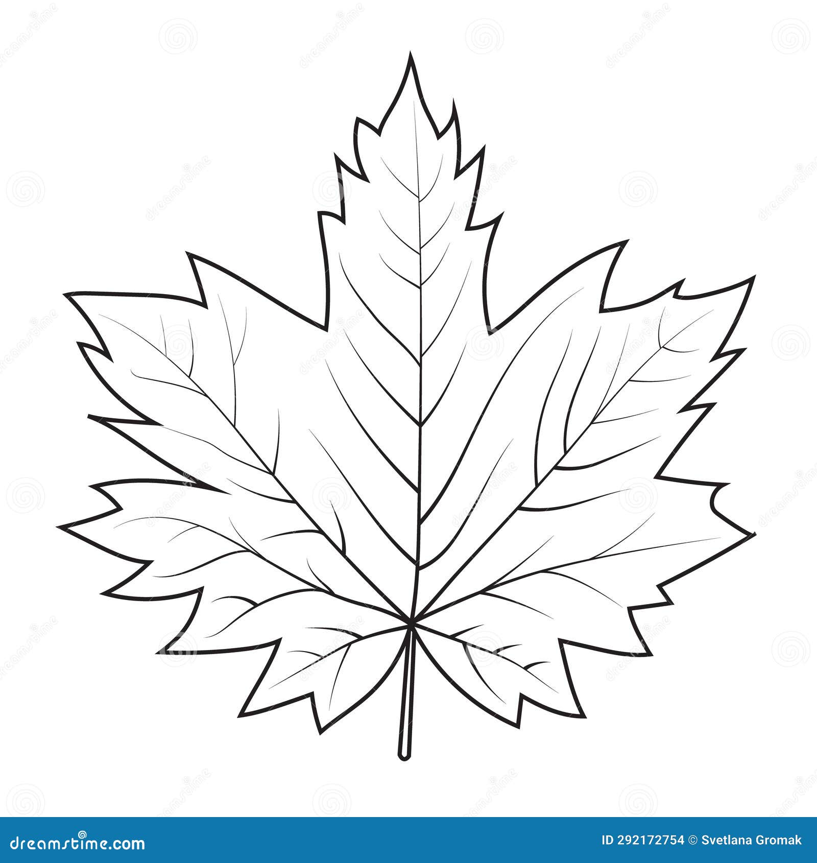 Contour Drawing of a Maple Leaf. Autumn Leaf Stock Vector ...