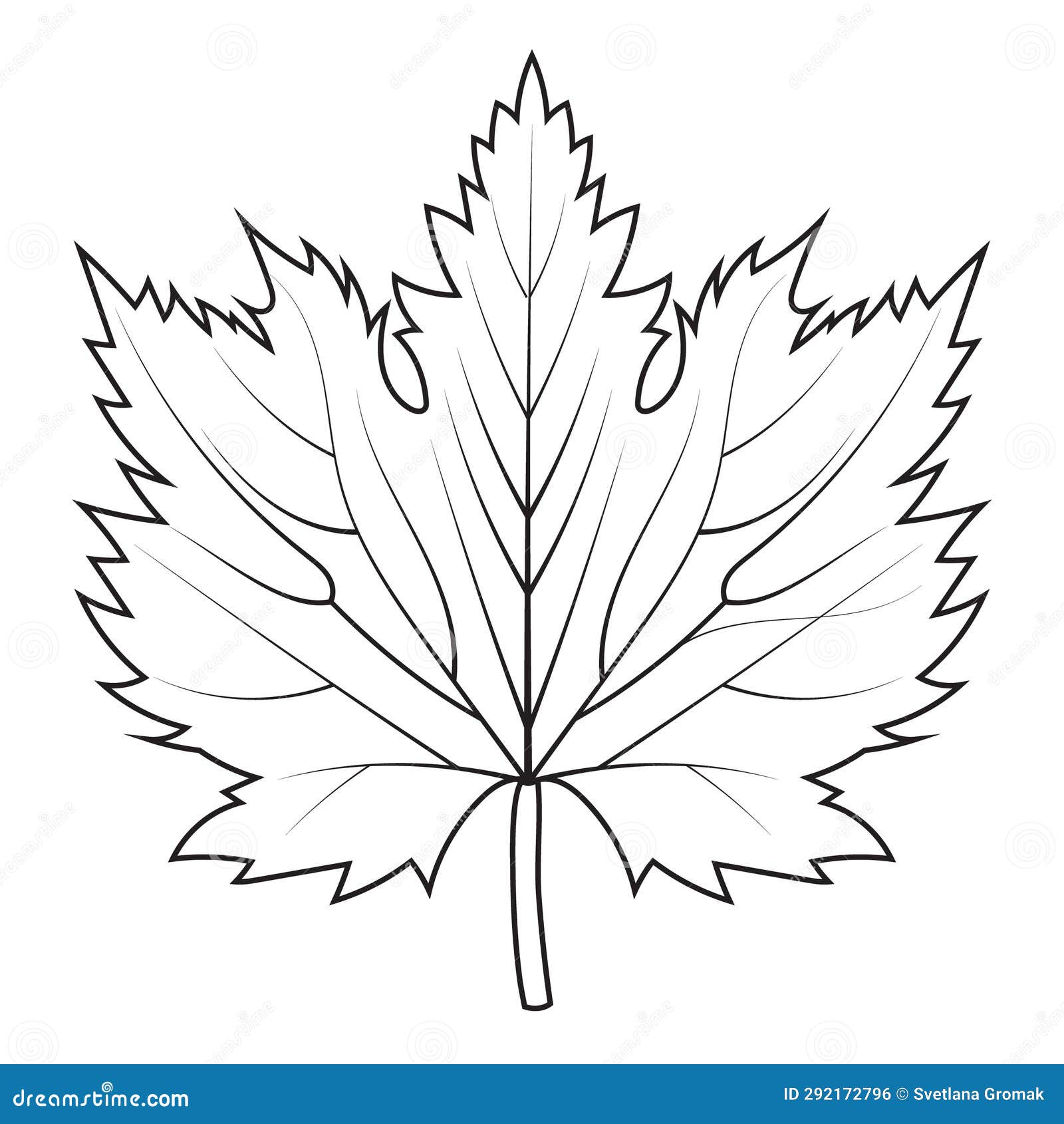 Contour Drawing of a Maple Leaf. Autumn Leaf Stock Vector ...
