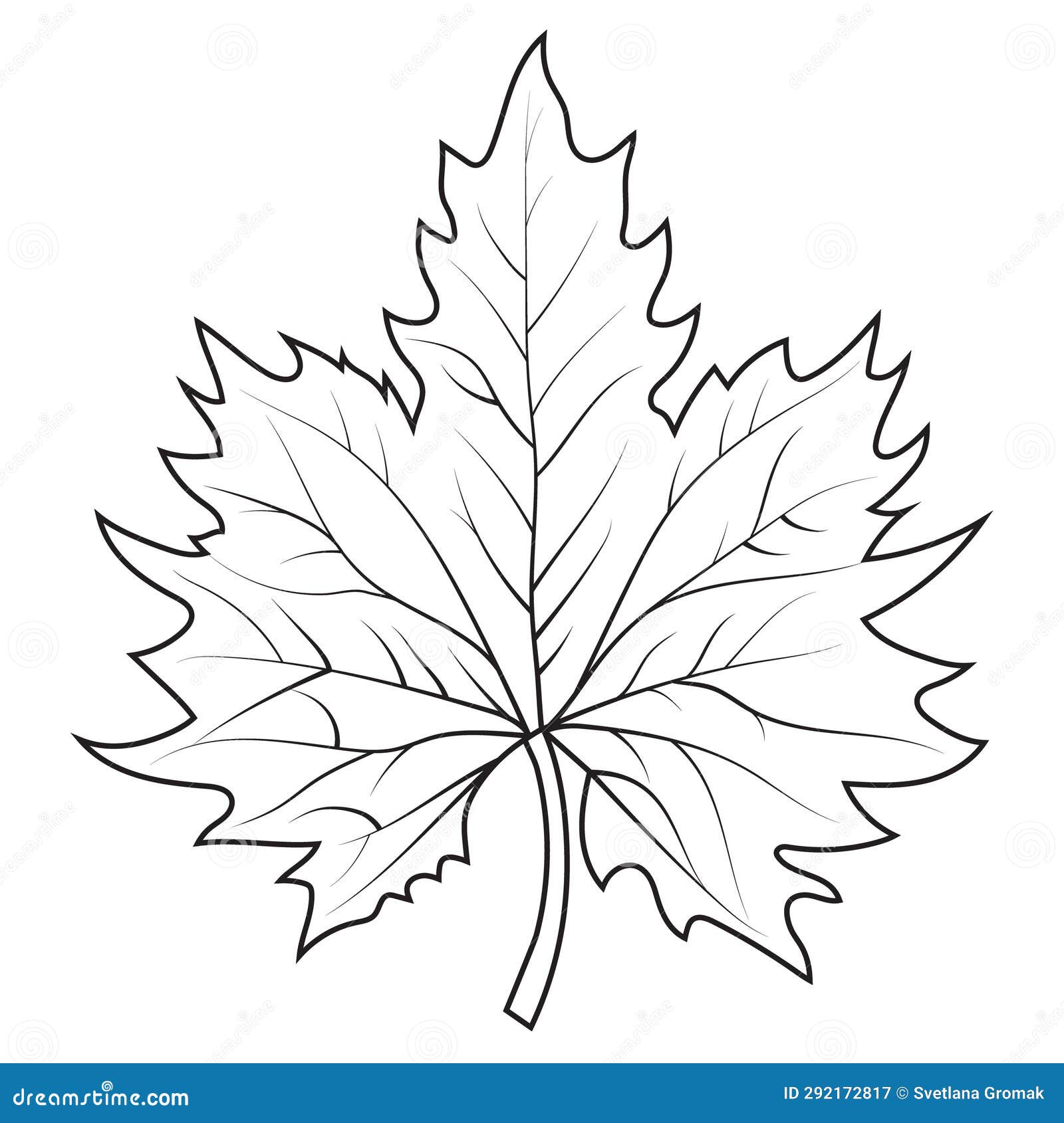 Contour Drawing of a Maple Leaf. Autumn Leaf Stock Illustration ...