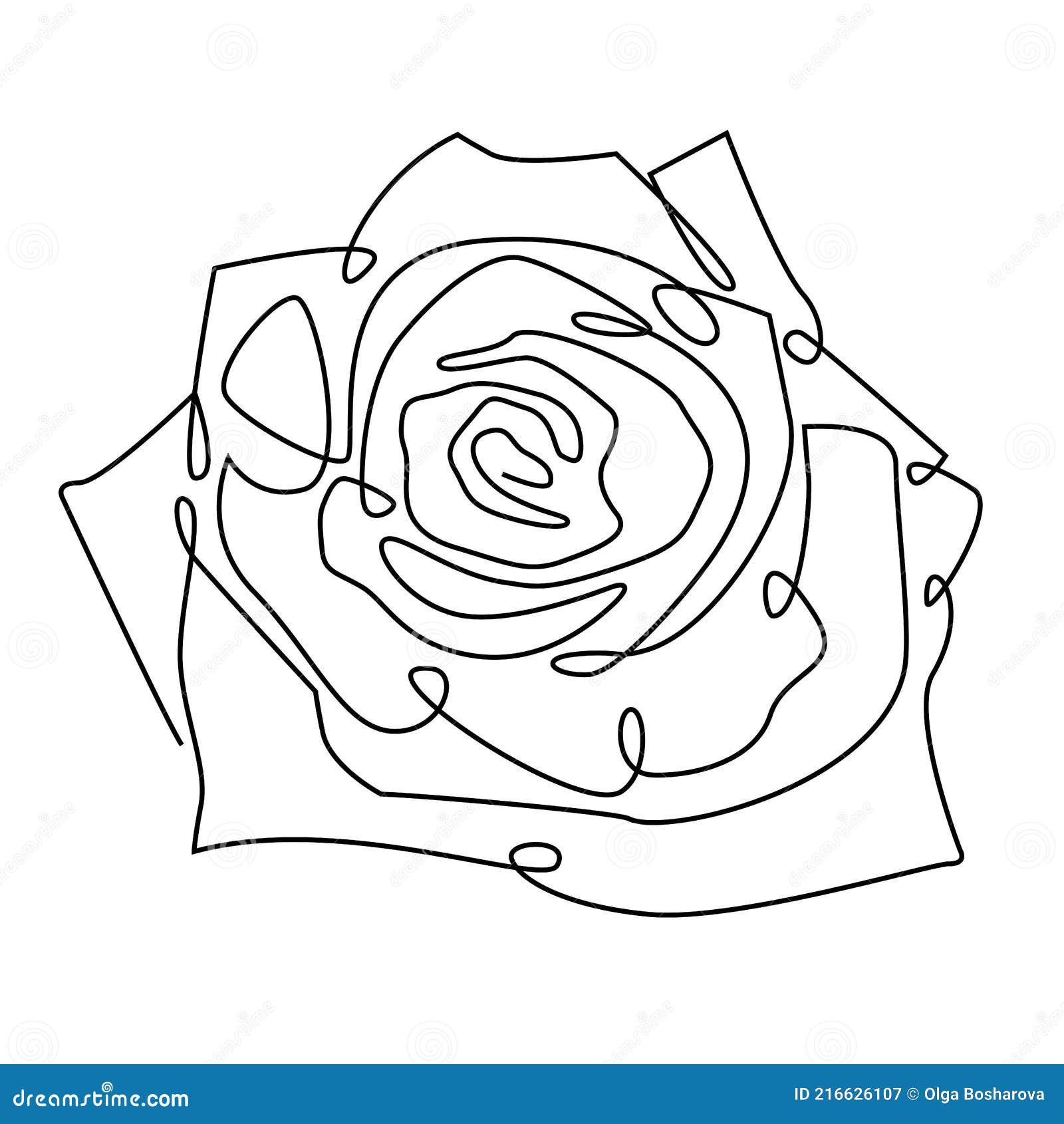 Contour Drawing of a Rose Flower Line Stock Vector - Illustration of ...