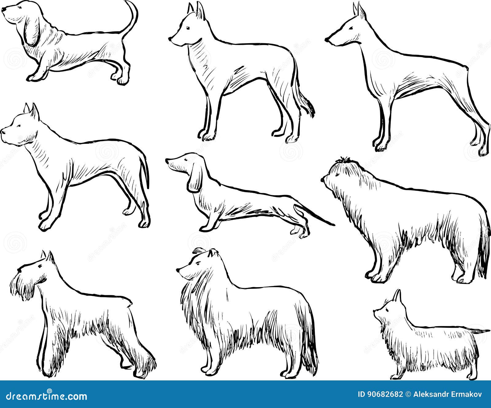 Contour Drawings of the Different Dogs Stock Vector - Illustration of ...