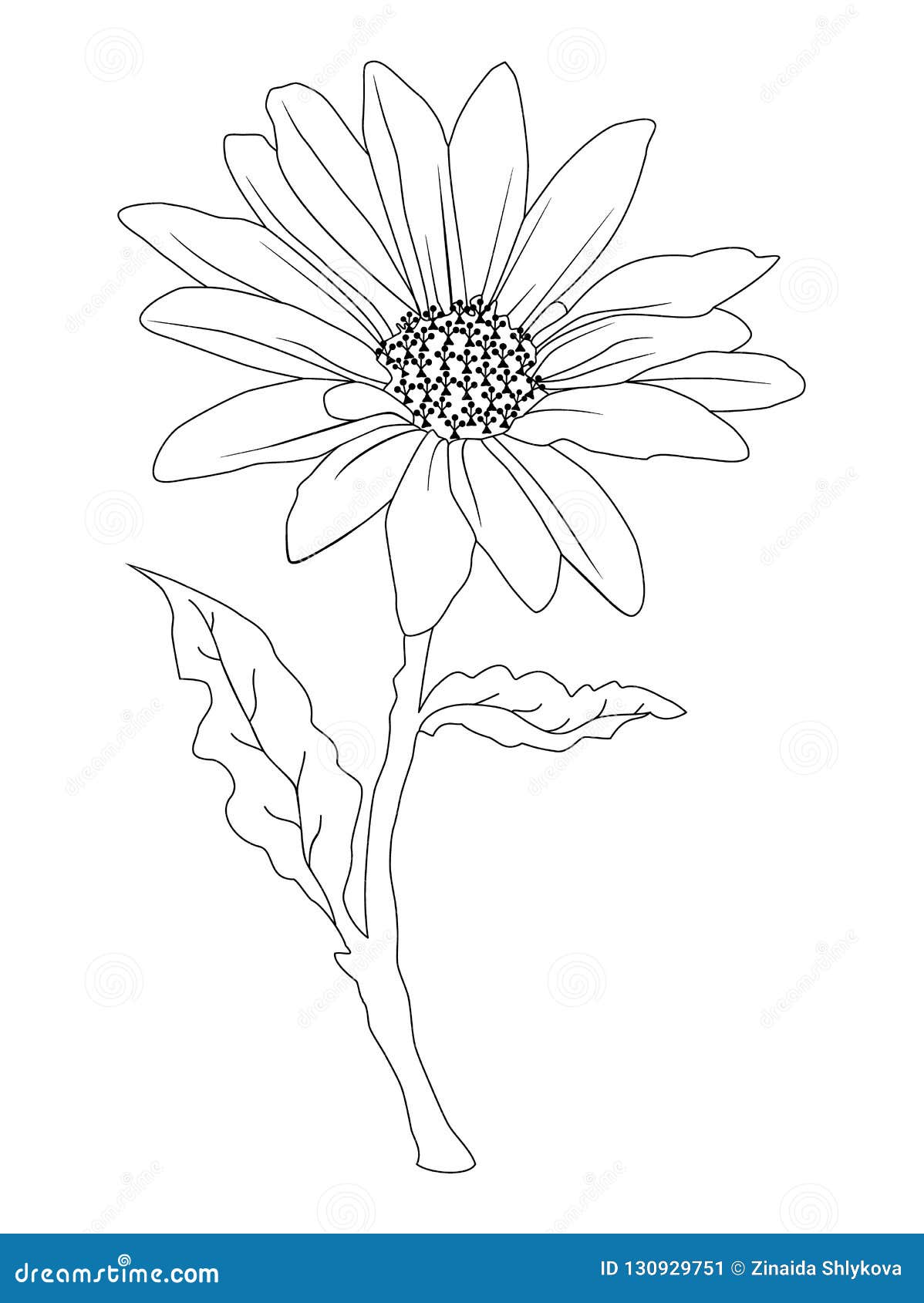 1 Contour Flower stock vector. Illustration of greeting - 130929751