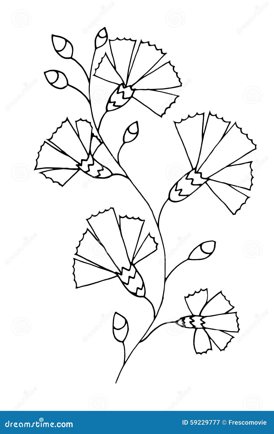 Contour Flower stock vector. Illustration of card, doodle - 59229777