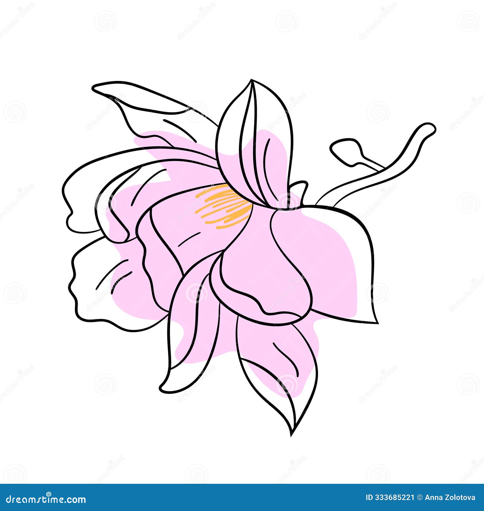 Contour Flower. Vector Isolated Minimalistic Flower Stock Illustration ...