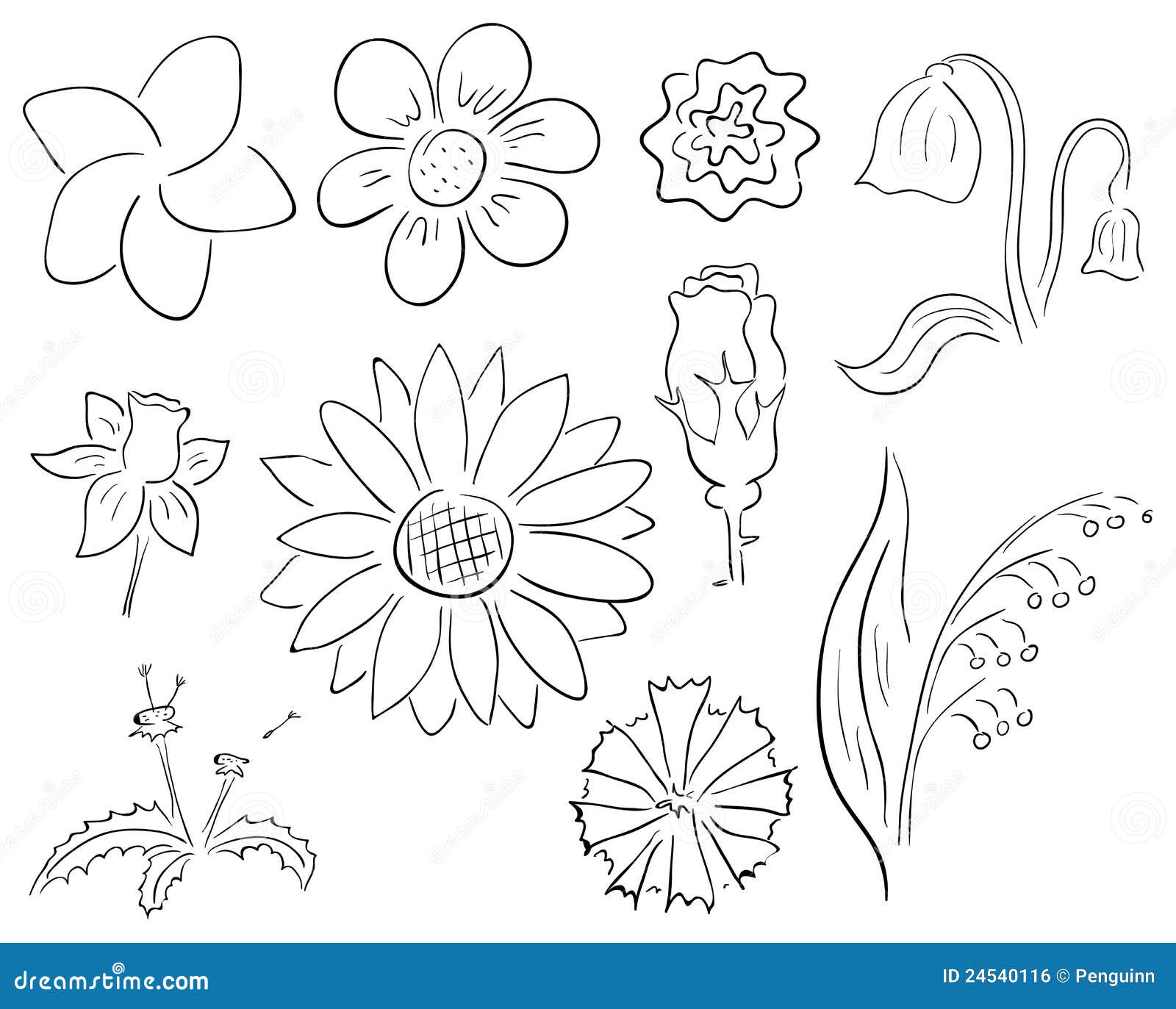 Contour flowers stock vector. Illustration of handwriting - 24540116