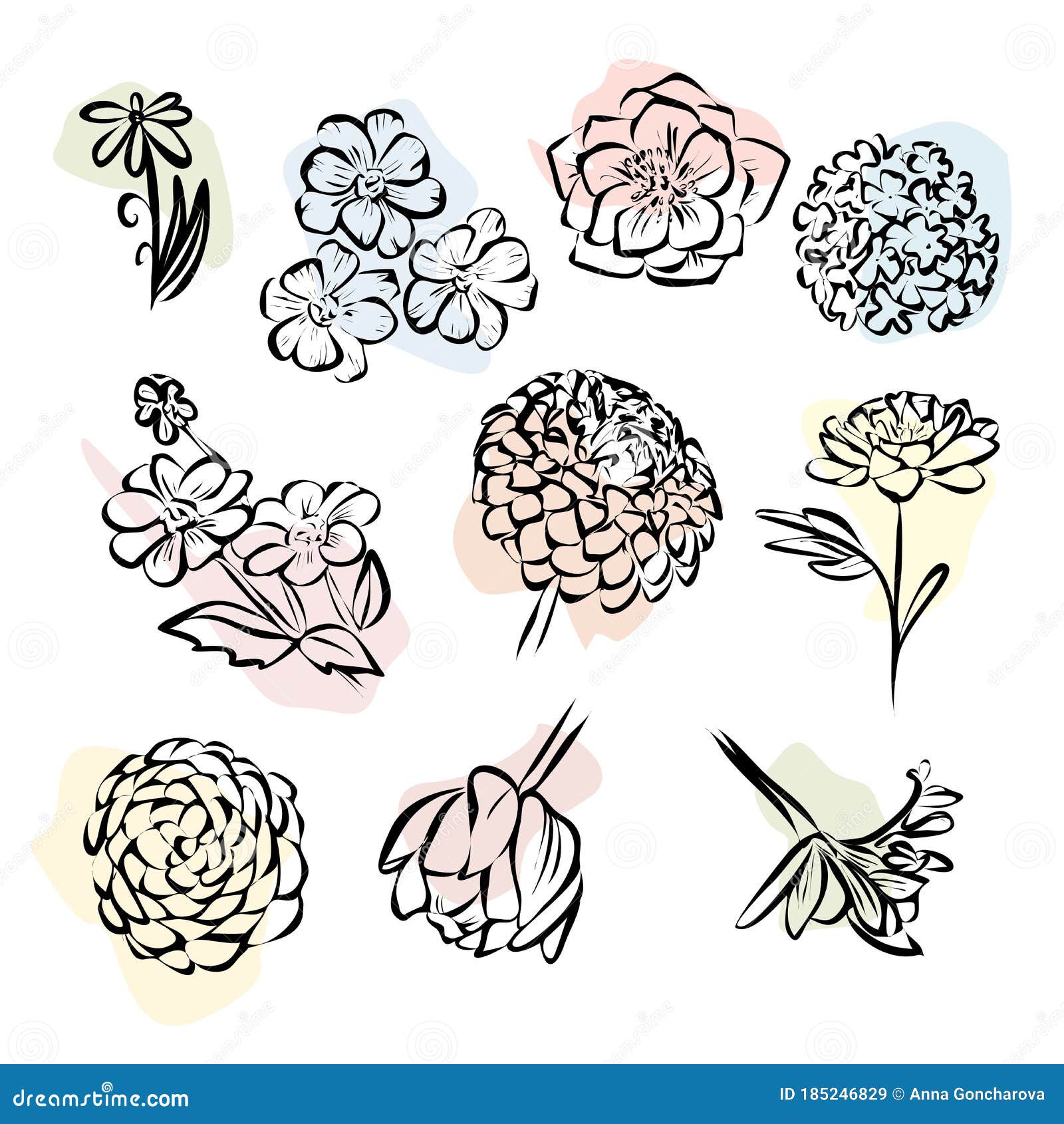 Contour Flowers Set of Ten Vector Image Stock Vector - Illustration of ...